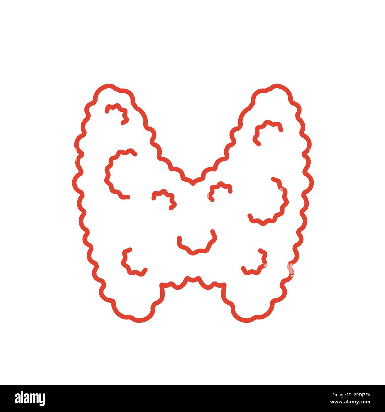 Thyroid gland, illustration Stock Photo - Alamy