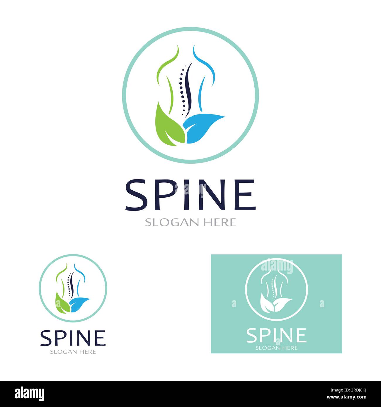 Spinal diagnostics, spine care and spine health.With modern vector icon ...