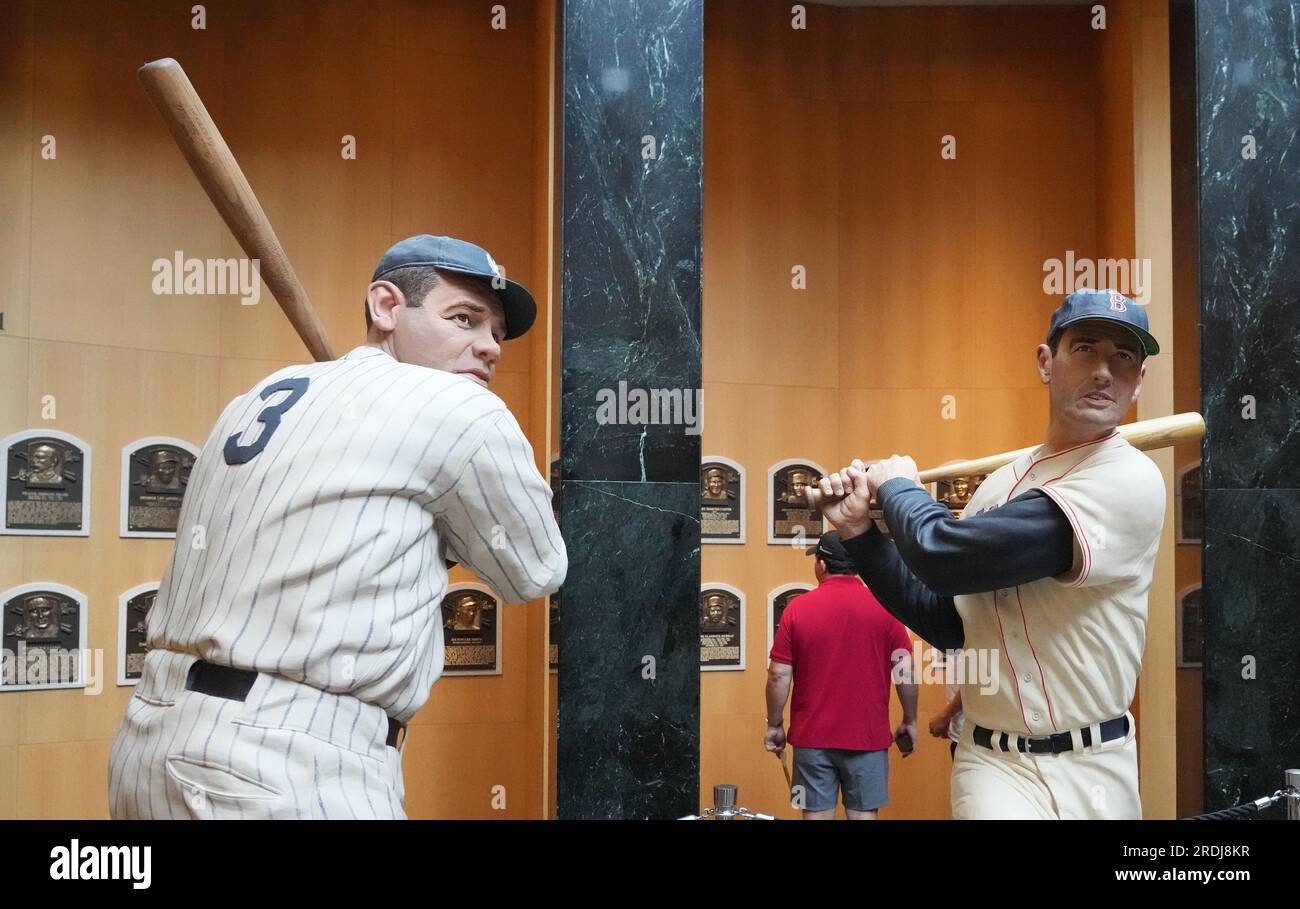 Ted Williams Baseball Player Hall Of Fame