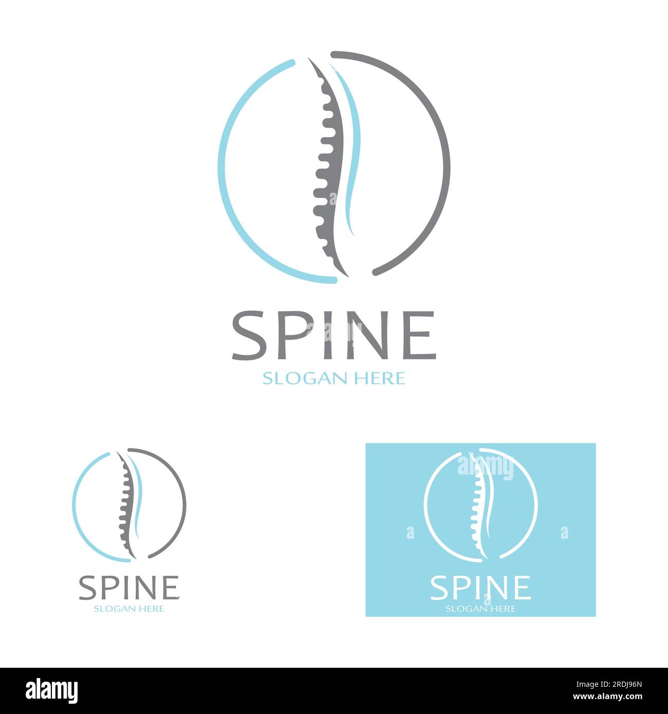 Spinal diagnostics, spine care and spine health.With modern vector icon ...
