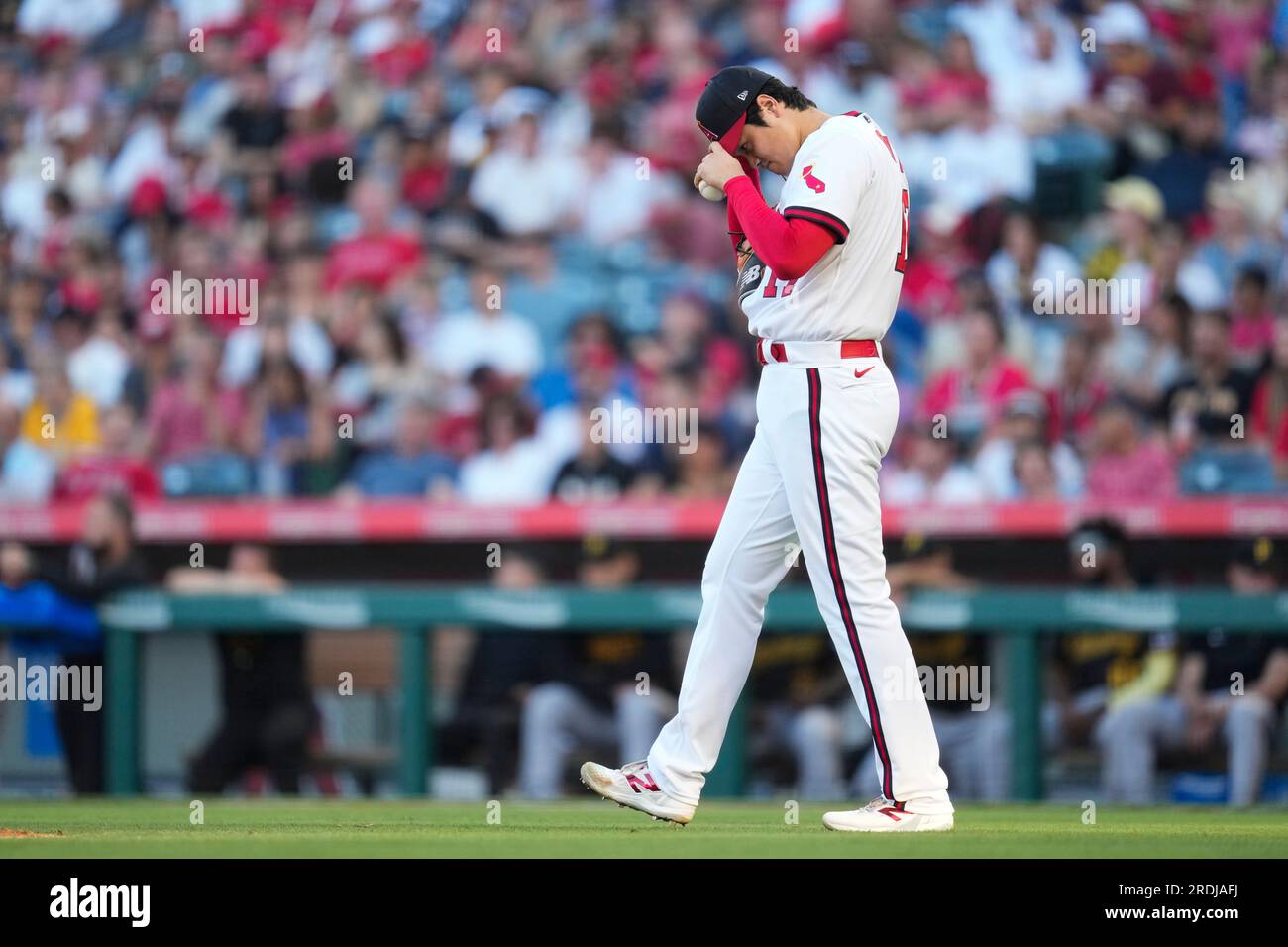 Los Angeles Angels starting pitcher Shohei Ohtani (17) adjusts his cap ...