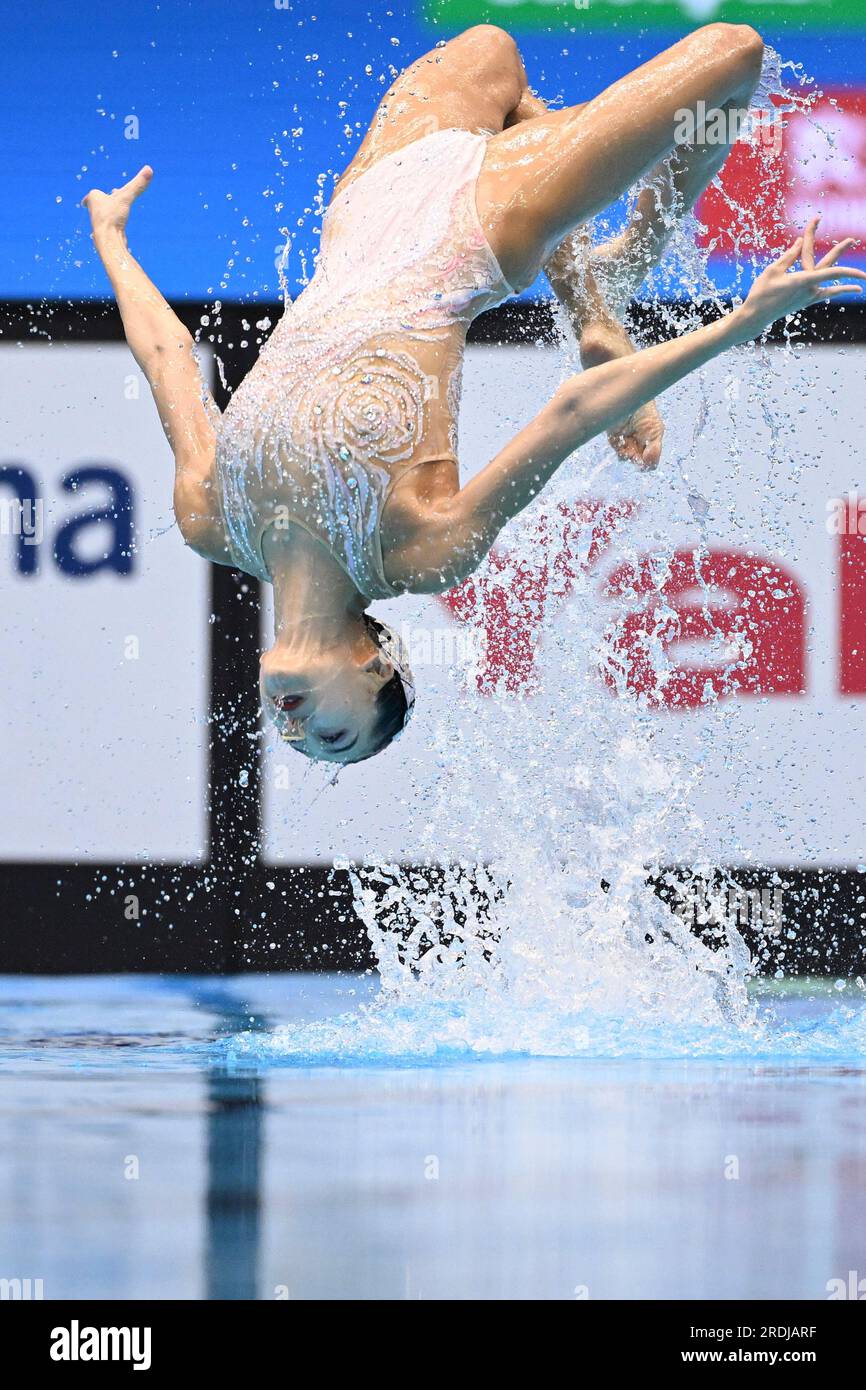 Wentao cheng hi-res stock photography and images - Alamy