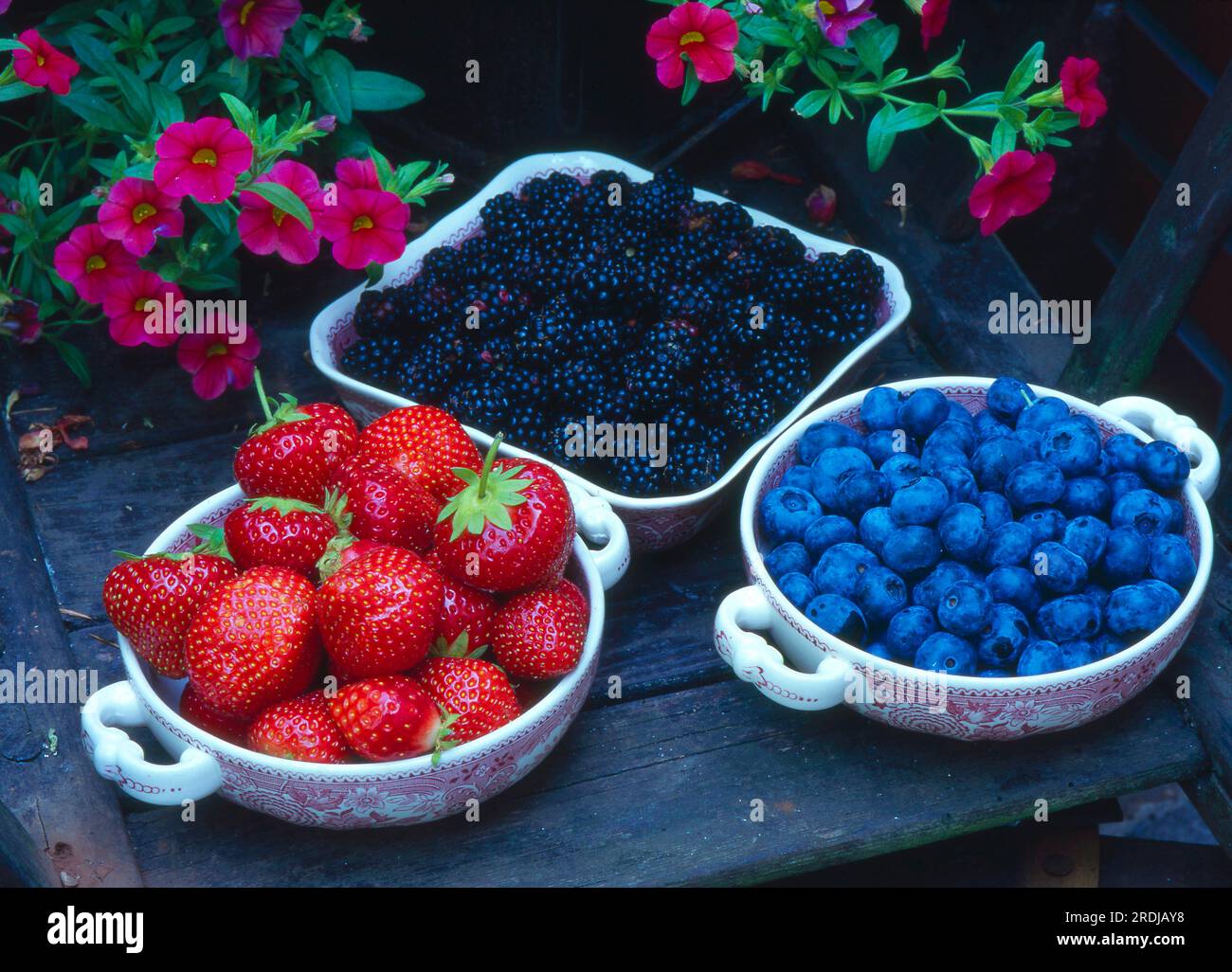 Blackberries (Rubus sectio Rubus) Blackberries Strawberries, strawberry ...