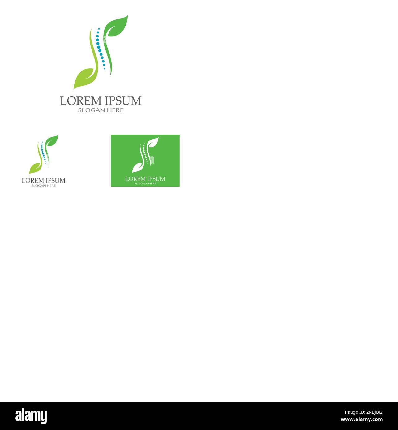 Spinal diagnostics, spine care and spine health.With modern vector icon ...