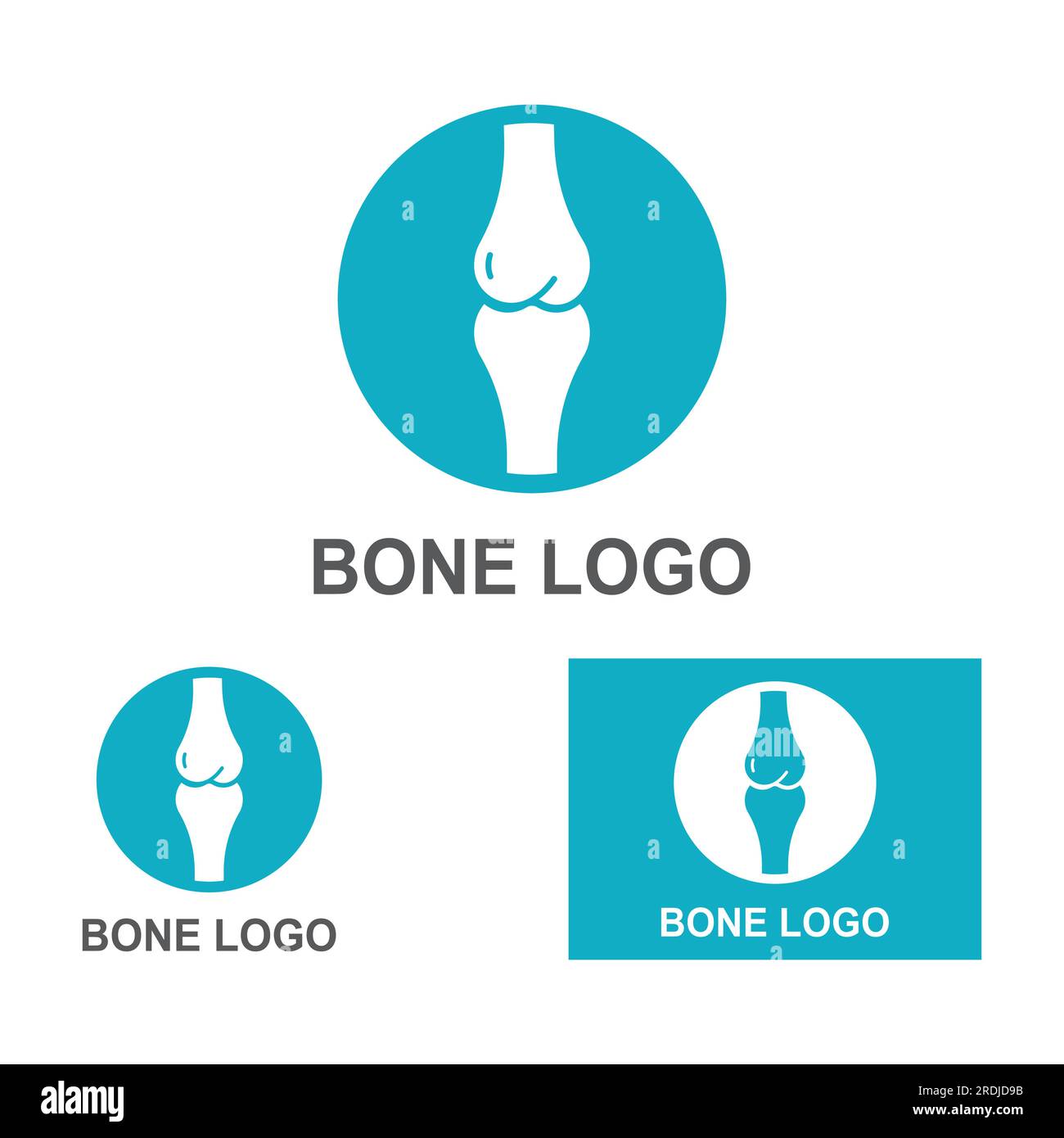 Bone logo icon vector design Stock Vector Image & Art - Alamy