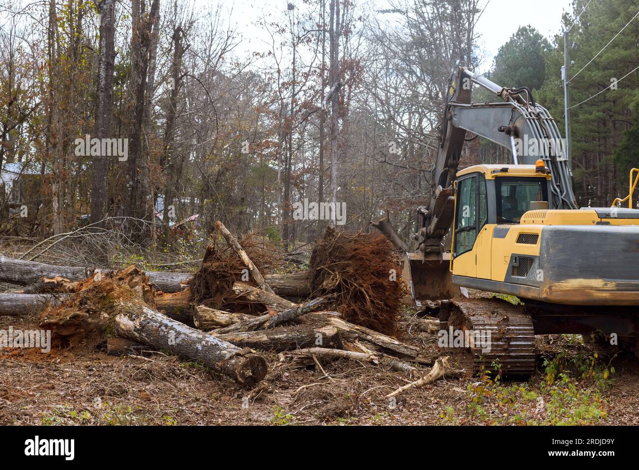 Worker clear uprooted tree hi-res stock photography and images - Alamy