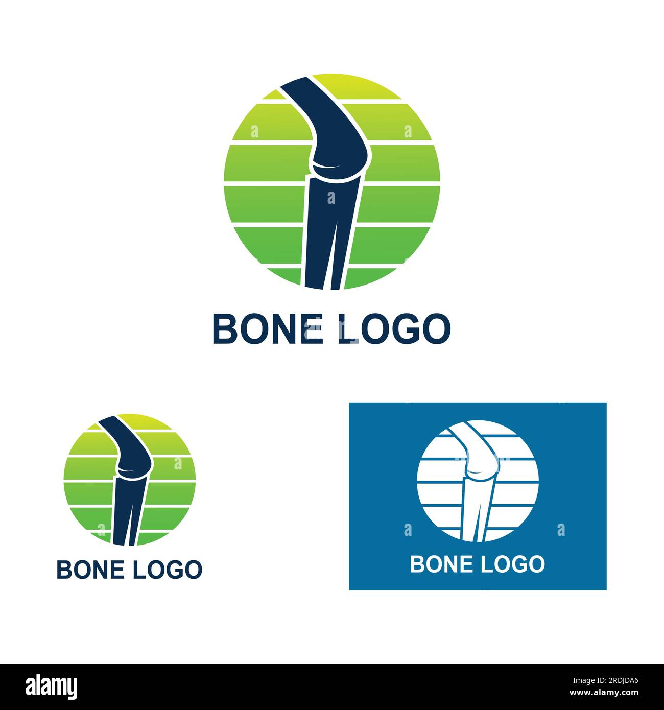 Bone logo icon vector design Stock Vector Image & Art - Alamy