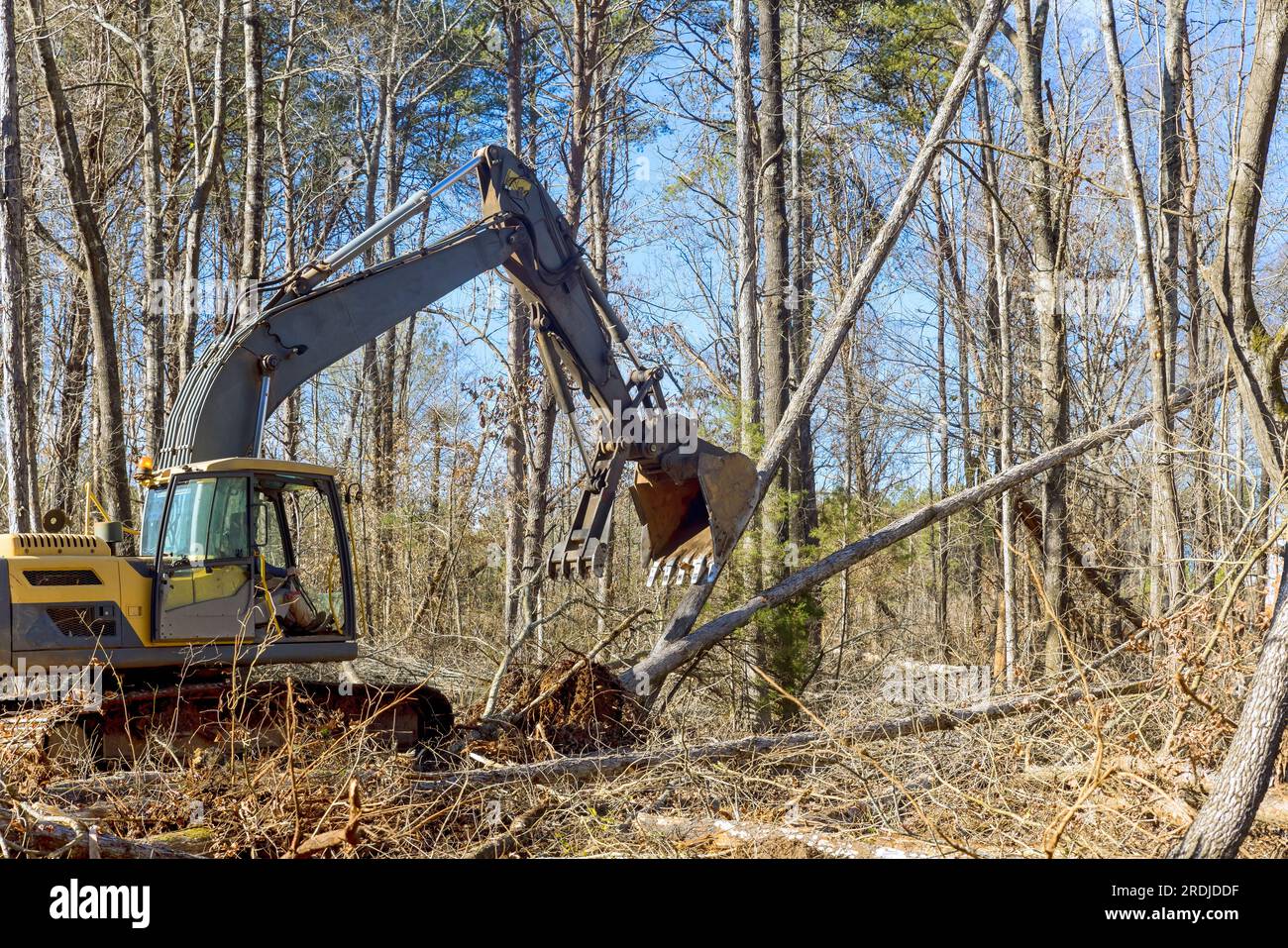 Worker removing trees from forests, preparing ground for building house ...