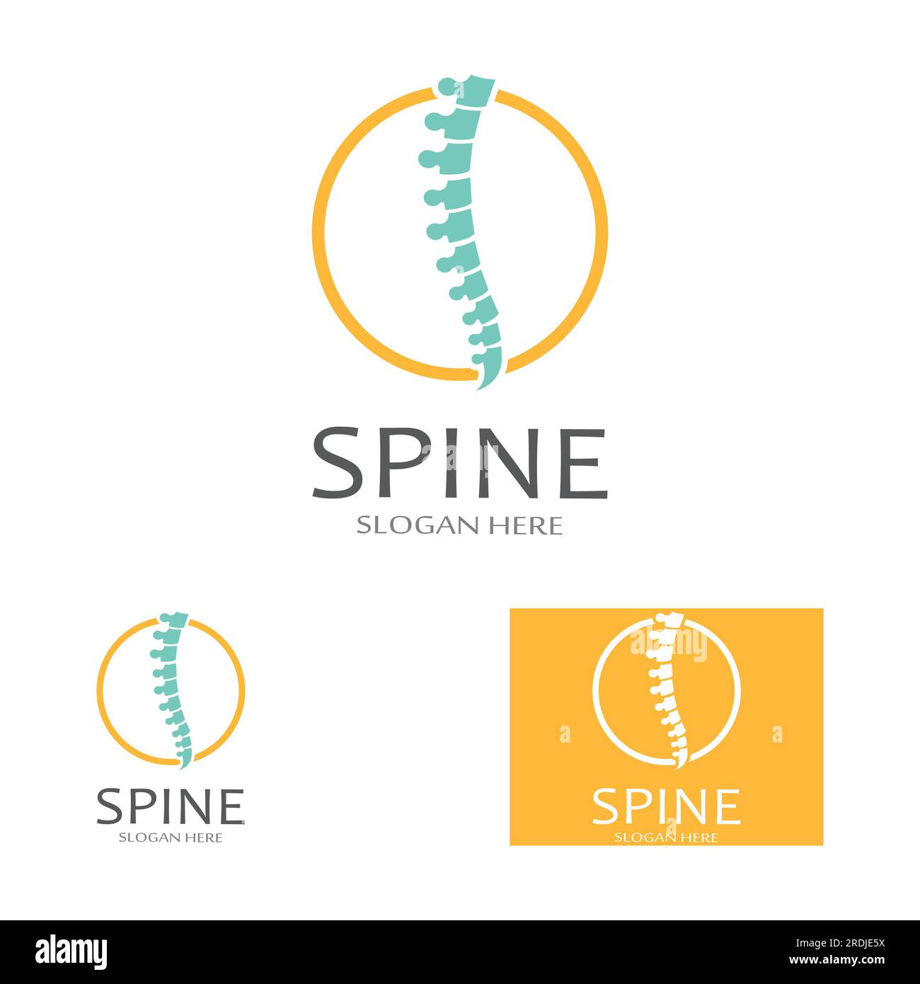 Spinal diagnostics, spine care and spine health.With modern vector icon ...