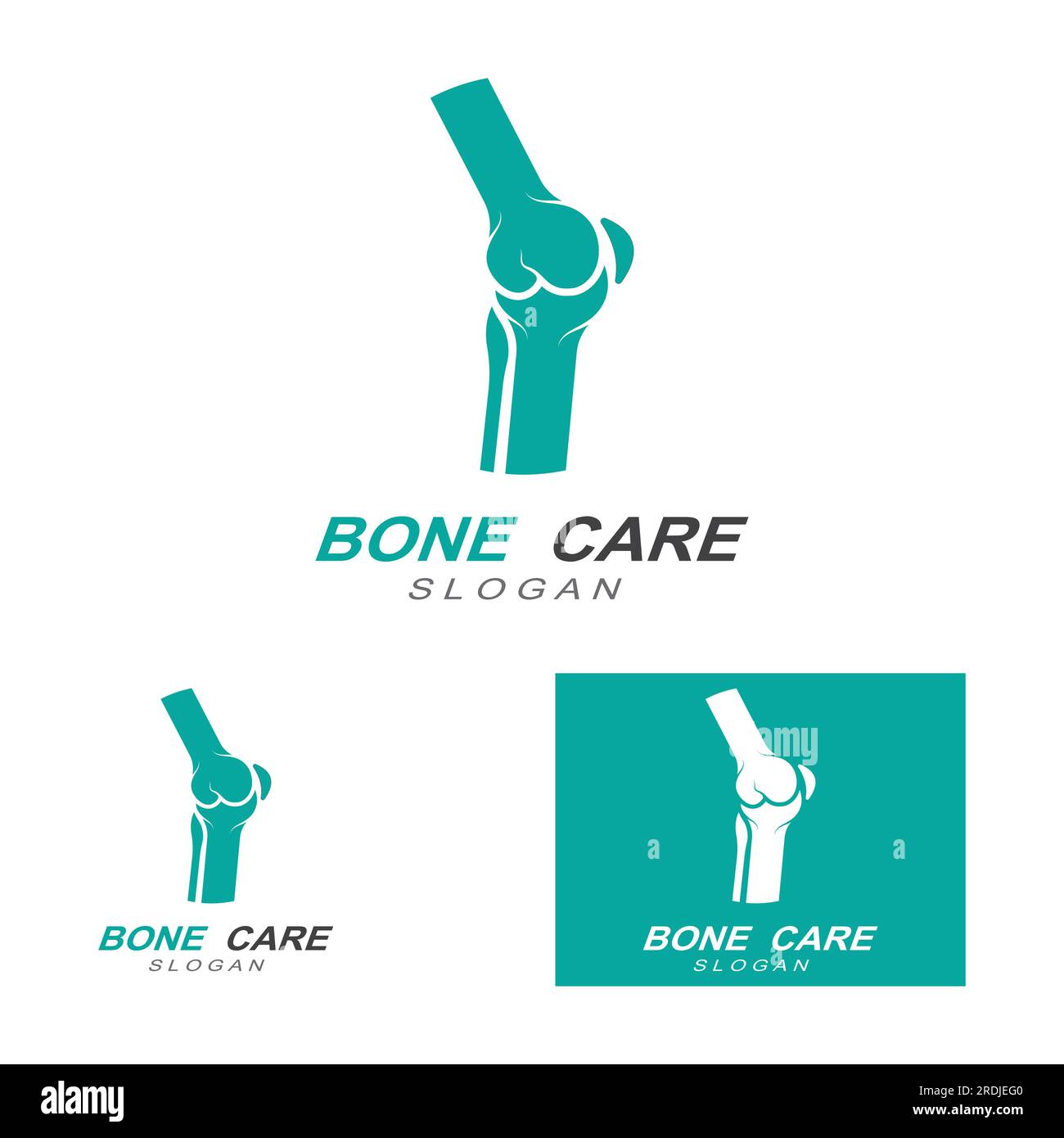 Bone logo icon vector design Stock Vector Image & Art - Alamy