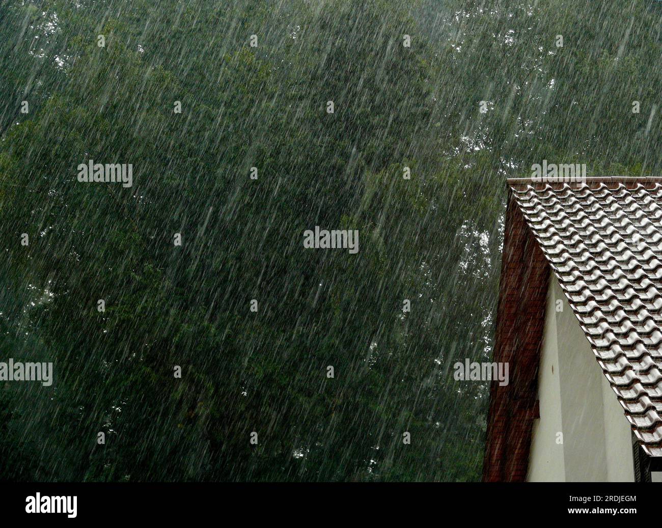 Heavy rain, rainy weather Stock Photo - Alamy