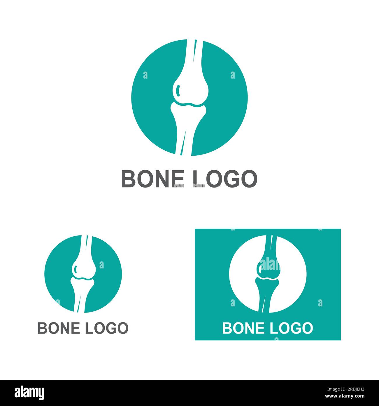 Bone logo icon vector design Stock Vector Image & Art - Alamy