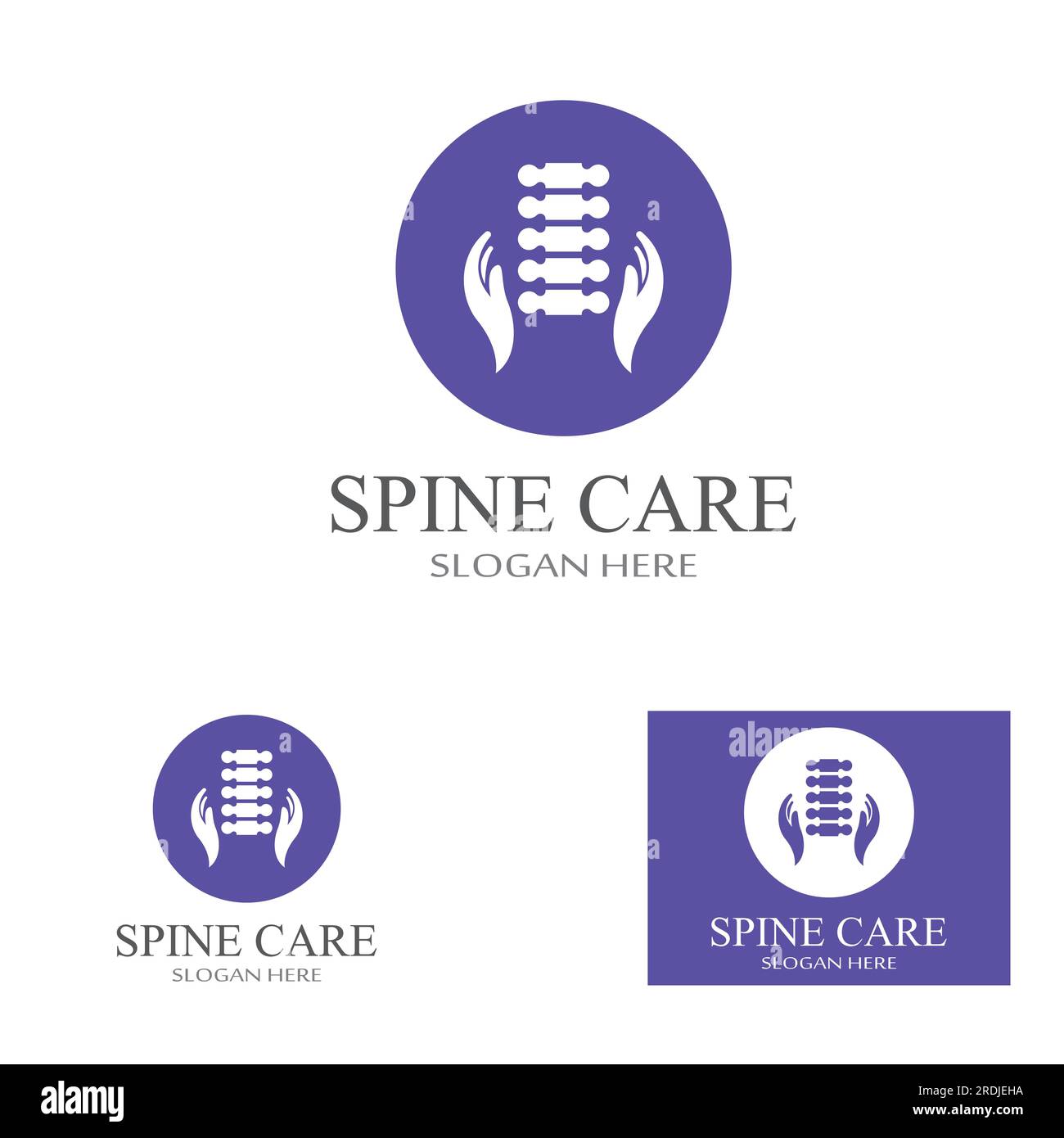 Spinal diagnostics, spine care and spine health.With modern vector icon ...