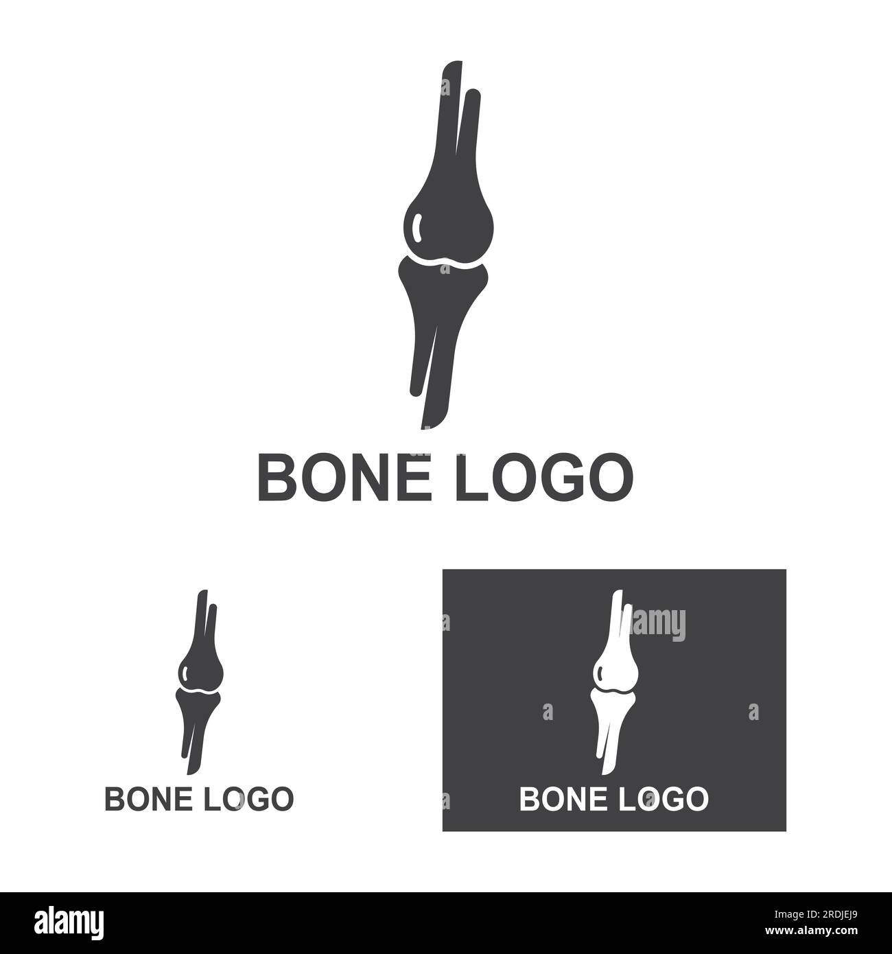 Bone logo icon vector design Stock Vector Image & Art - Alamy