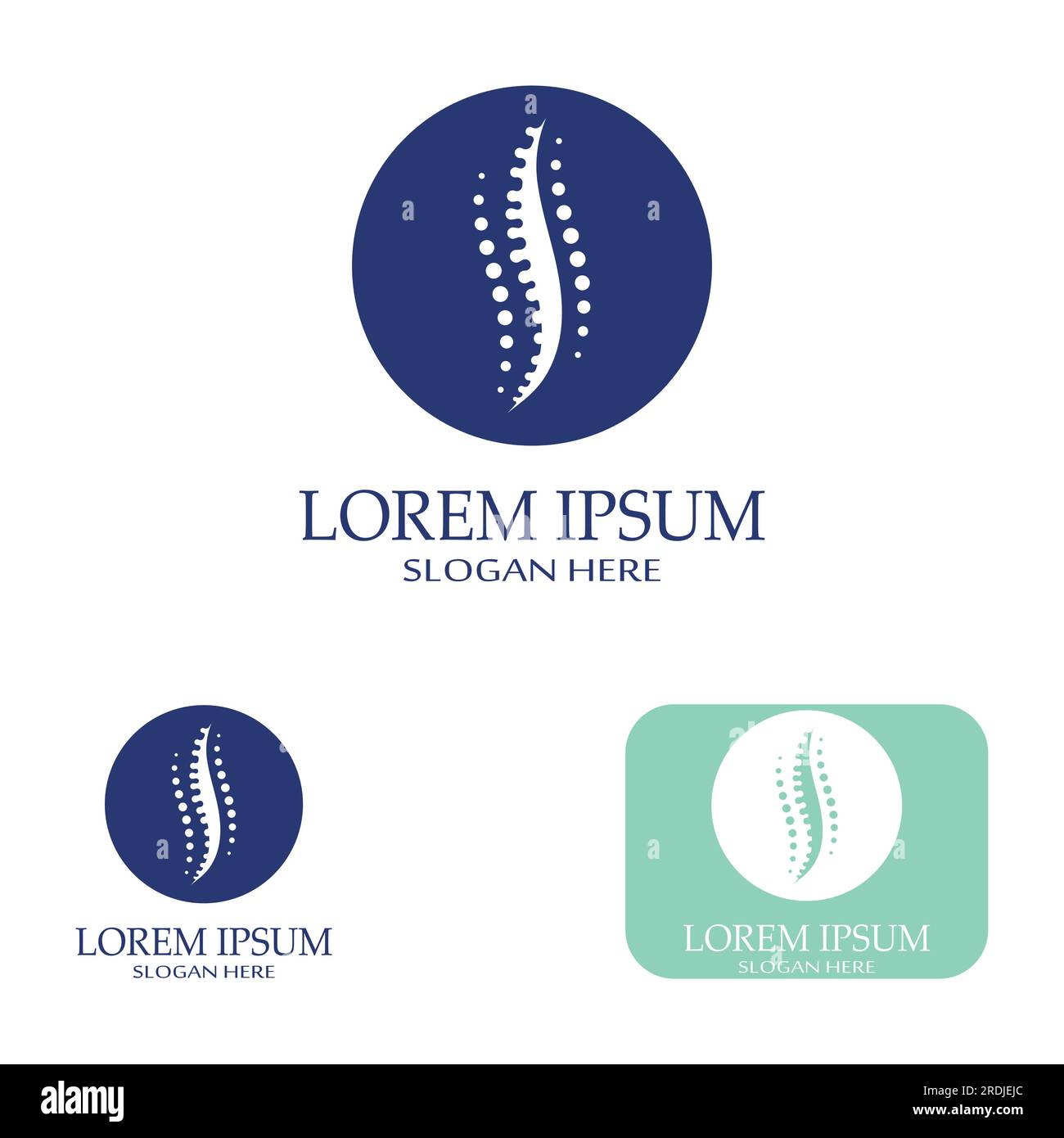 Spinal diagnostics, spine care and spine health.With modern vector icon ...