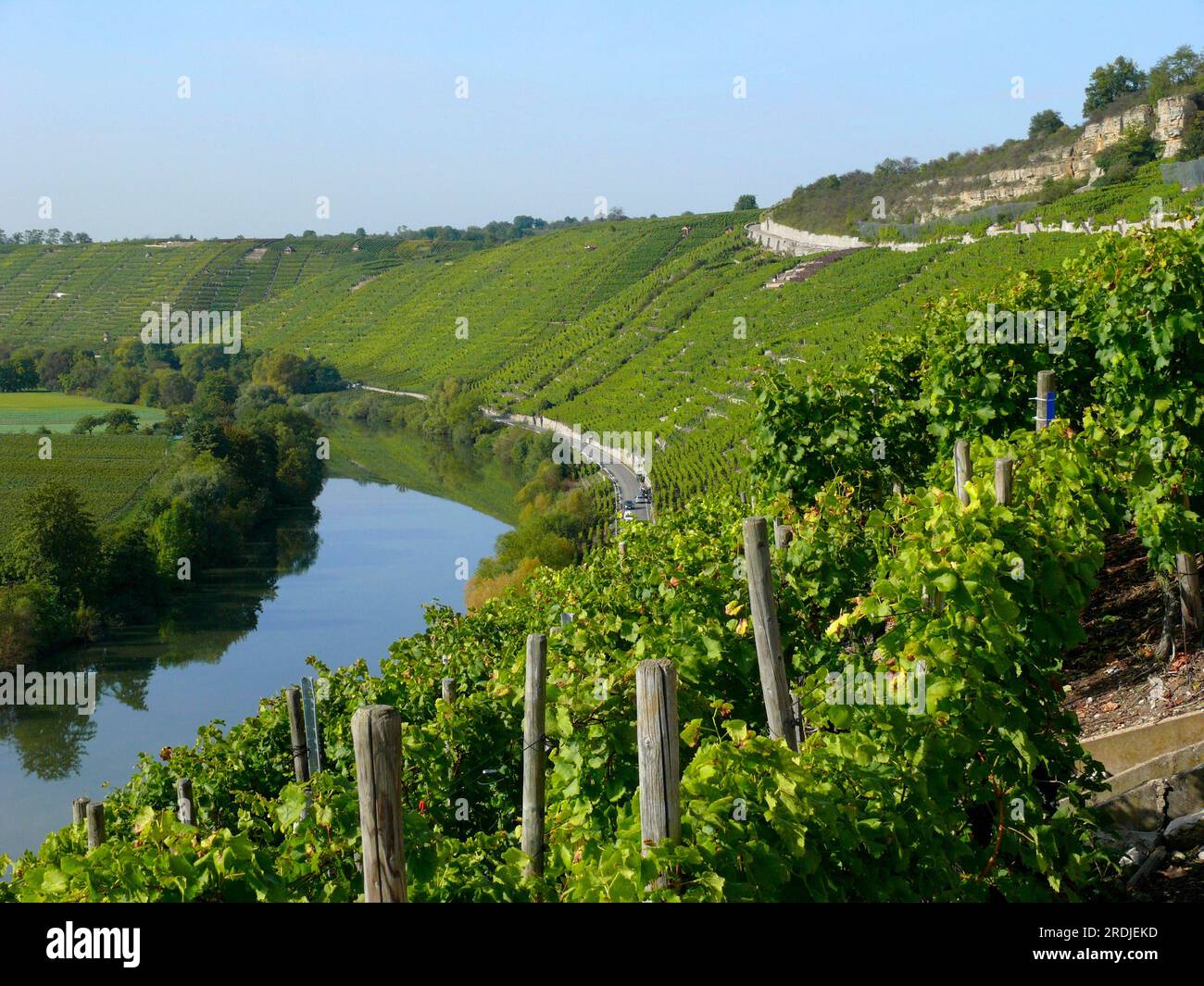 Vineyards, rock gardens near Besigheim, autumn, Neckar valley Stock ...