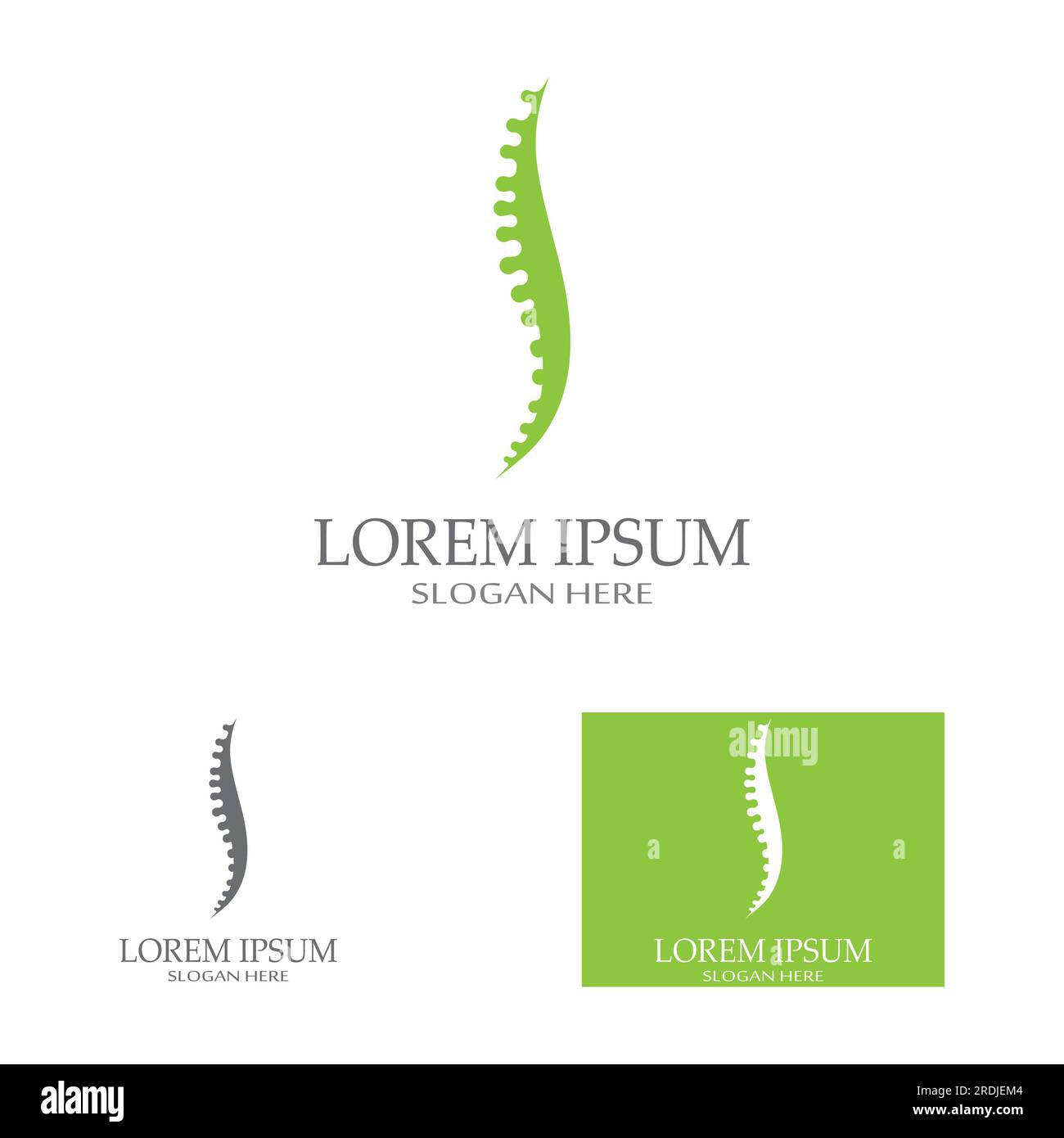 Spinal diagnostics, spine care and spine health.With modern vector icon ...