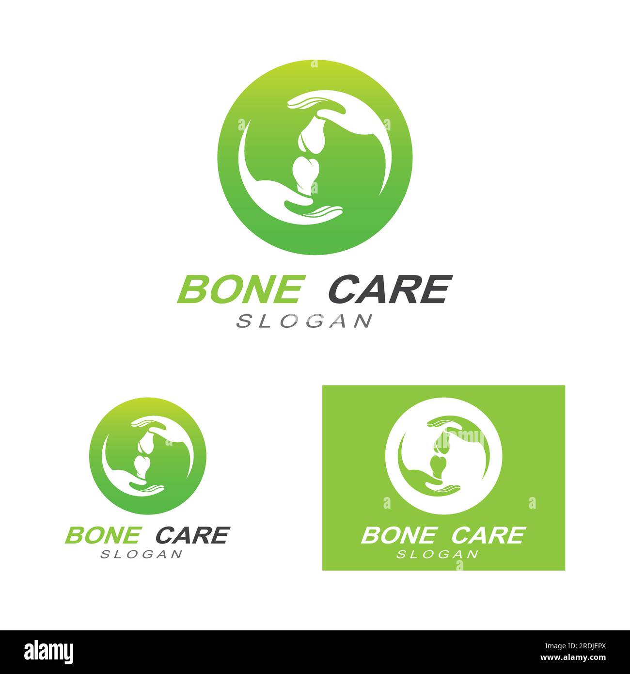 3d dog anatomy illustration Stock Vector Images - Alamy