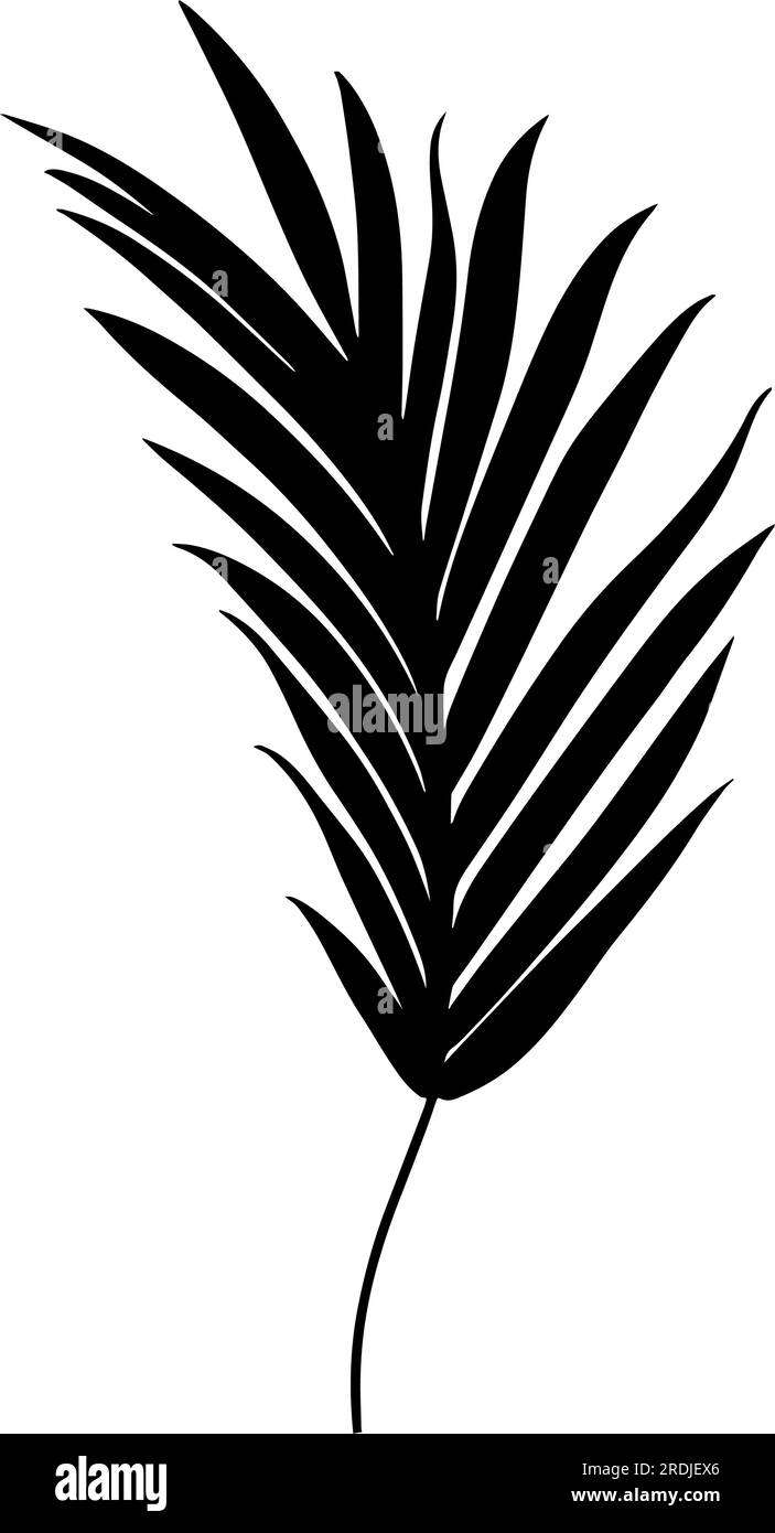Palm tree leaf silhouette. Vector illustration Stock Vector Image & Art ...