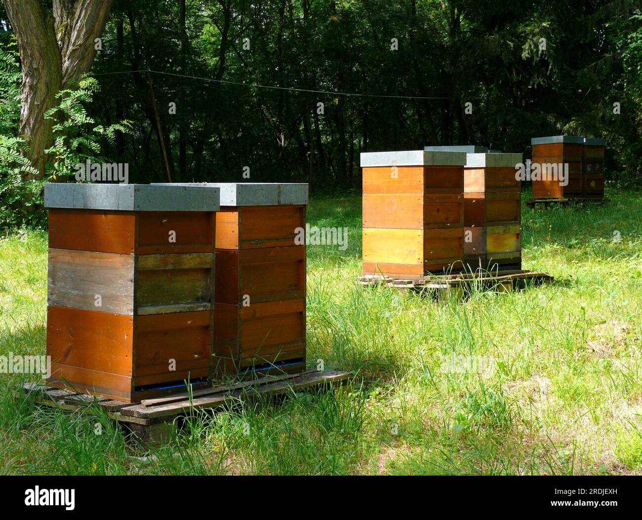 Magazine hive hi-res stock photography and images - Alamy