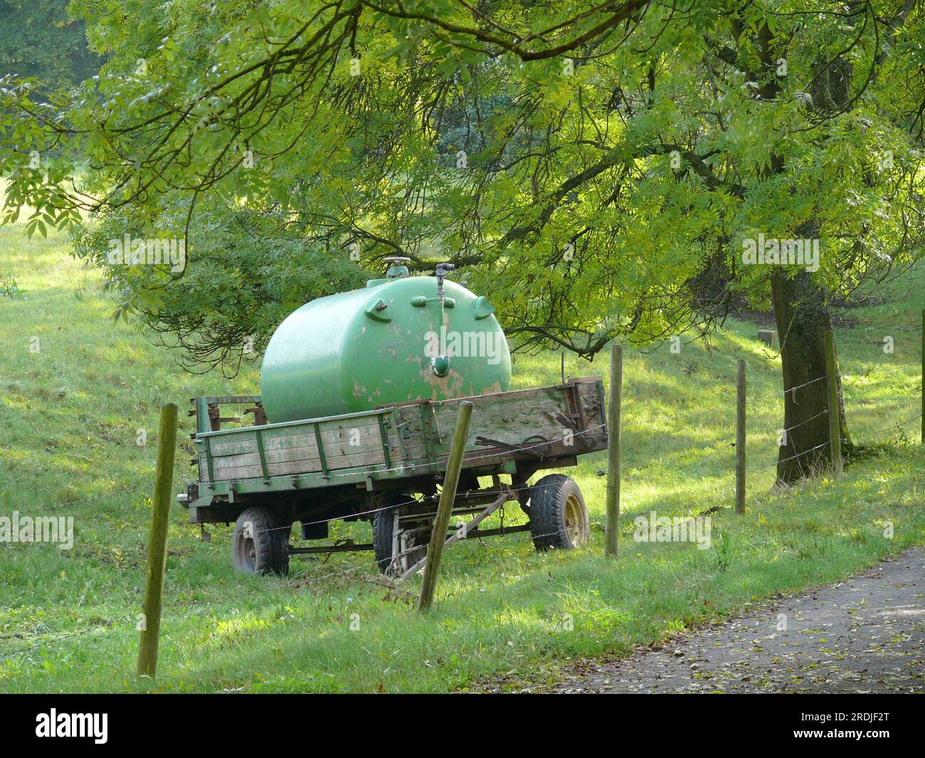 Water barrel for cattle, drinking water for livestock Stock Photo - Alamy