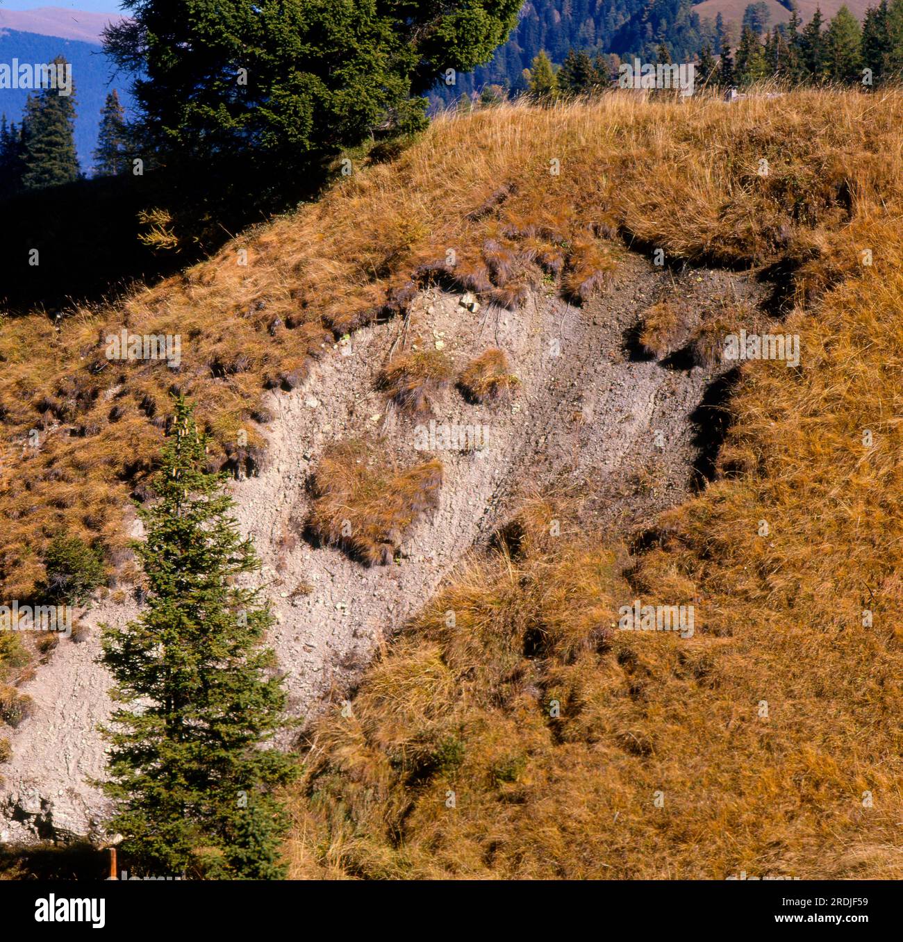 Landslide soil erosion hi-res stock photography and images - Alamy