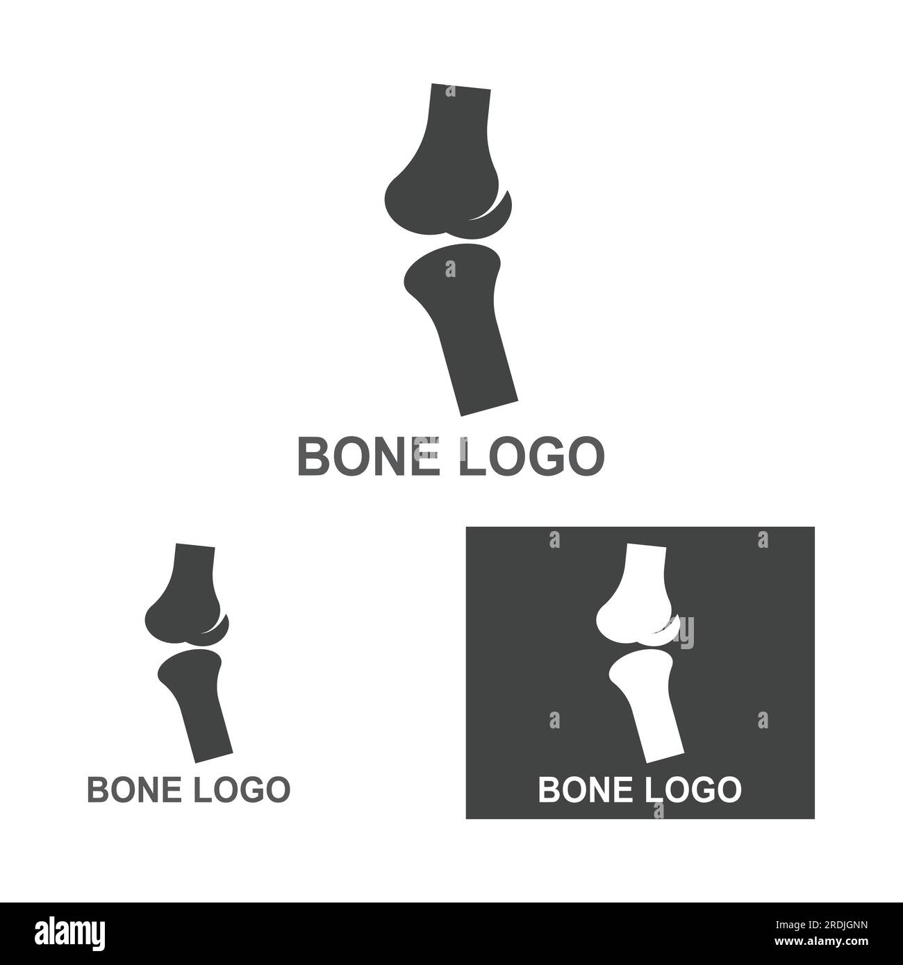 Bone logo icon vector design Stock Vector Image & Art - Alamy