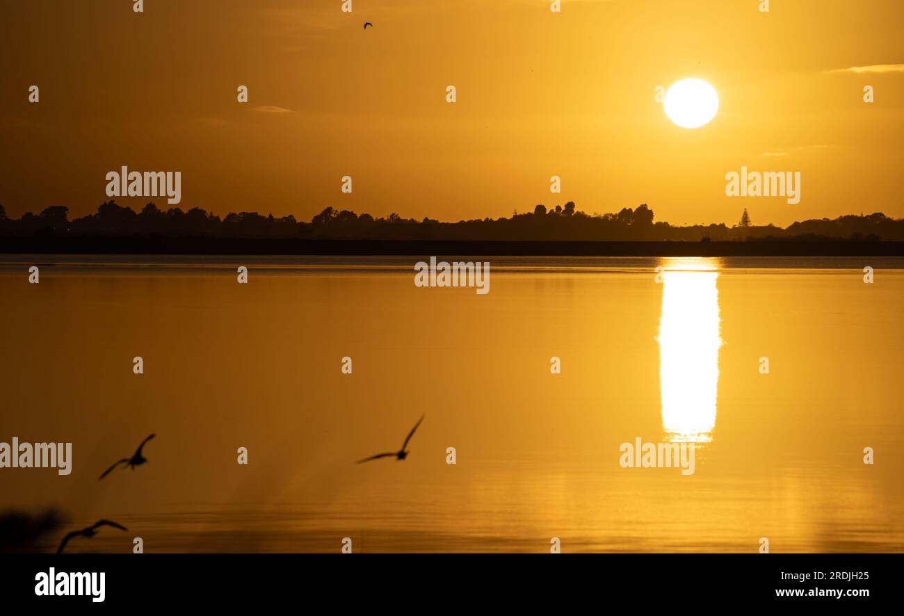 Golden sunrise with glow of round sun rising above horizon across bay ...