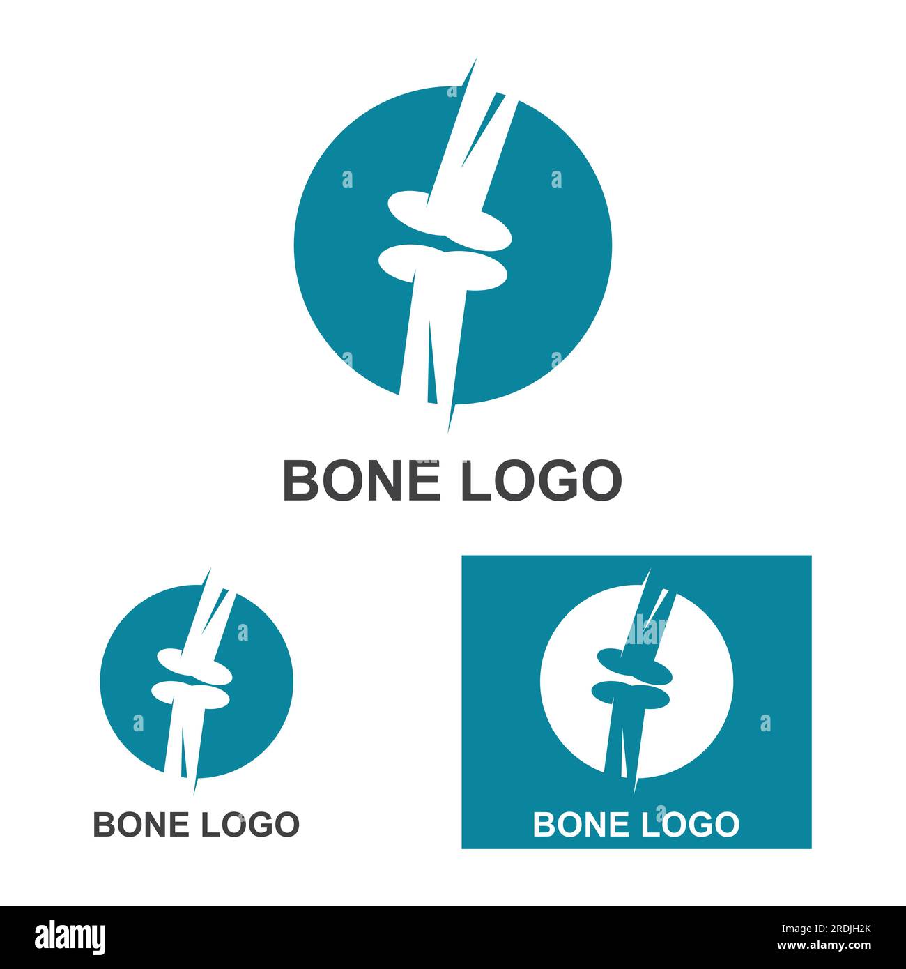 Bone logo icon vector design Stock Vector Image & Art - Alamy