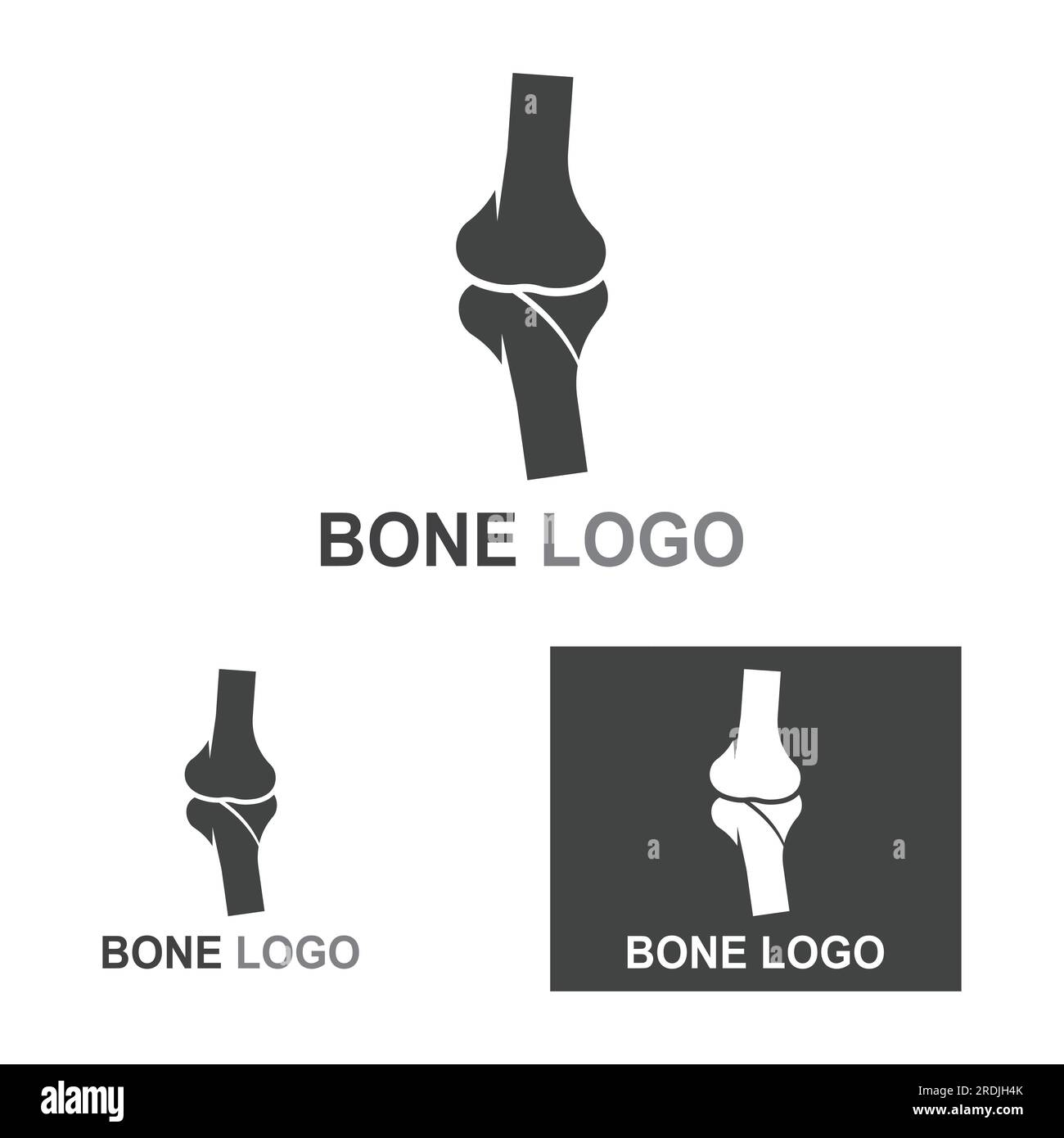 Bone logo icon vector design Stock Vector Image & Art - Alamy