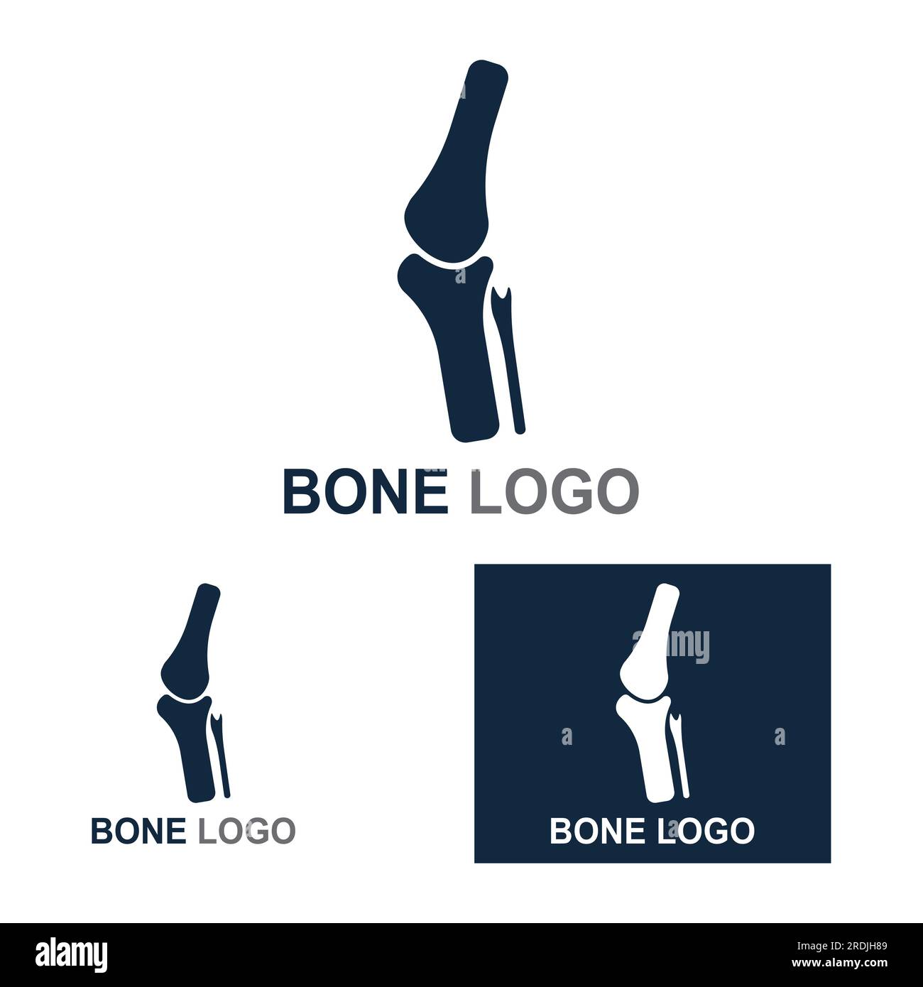 Bone logo icon vector design Stock Vector Image & Art - Alamy