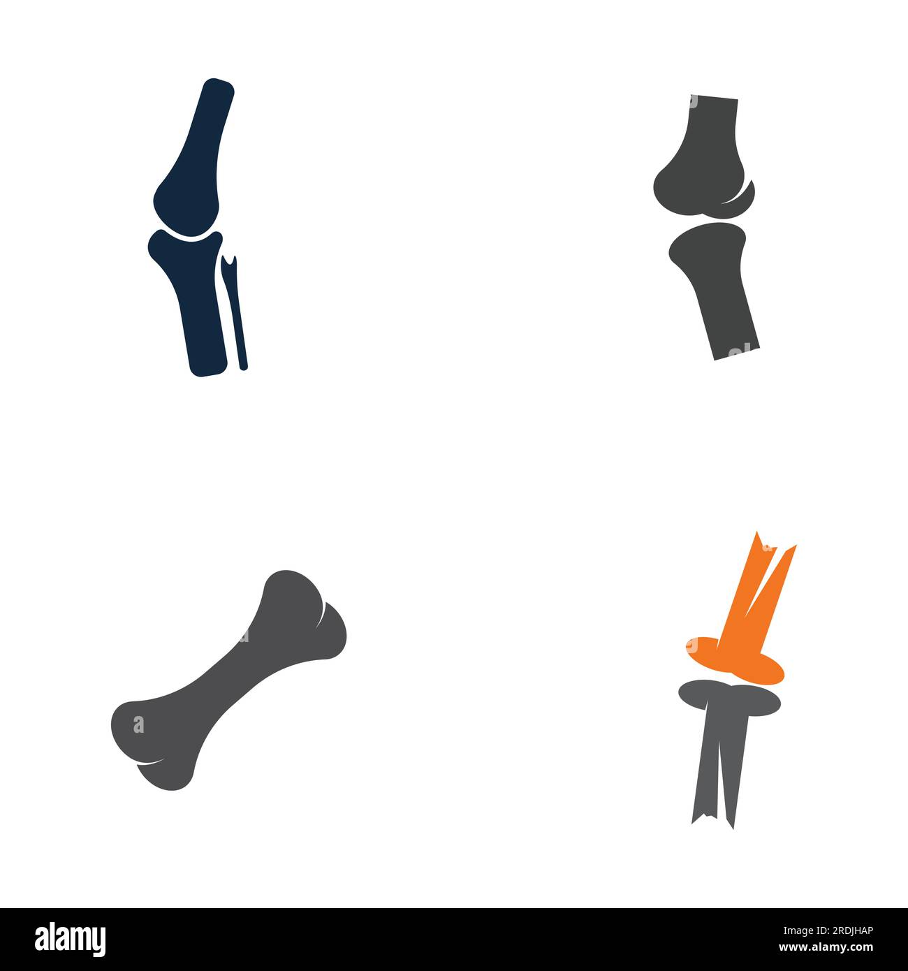 Bone logo icon vector design Stock Vector Image & Art - Alamy