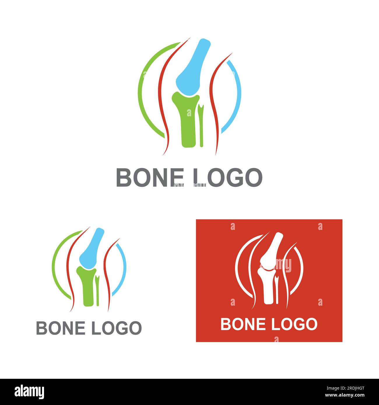 Anatomy calcium bone health vector osteoporosis nutrition hi-res stock ...