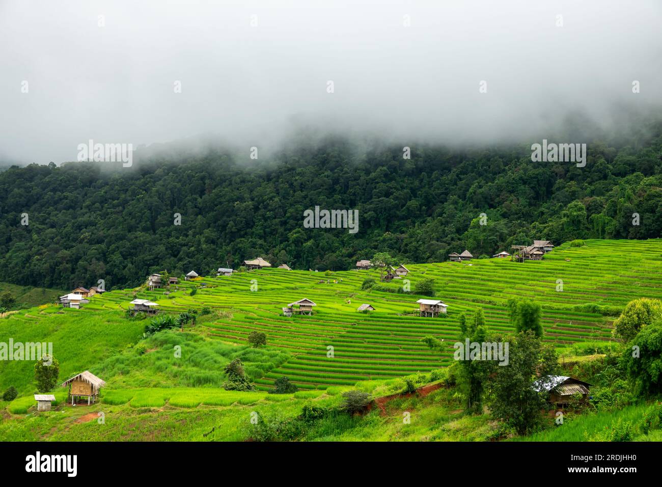 Aerial views of Small house and rice terraces field at pabongpaing ...