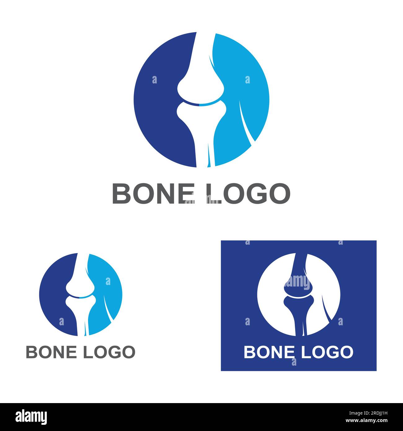 Bone logo icon vector design Stock Vector Image & Art - Alamy