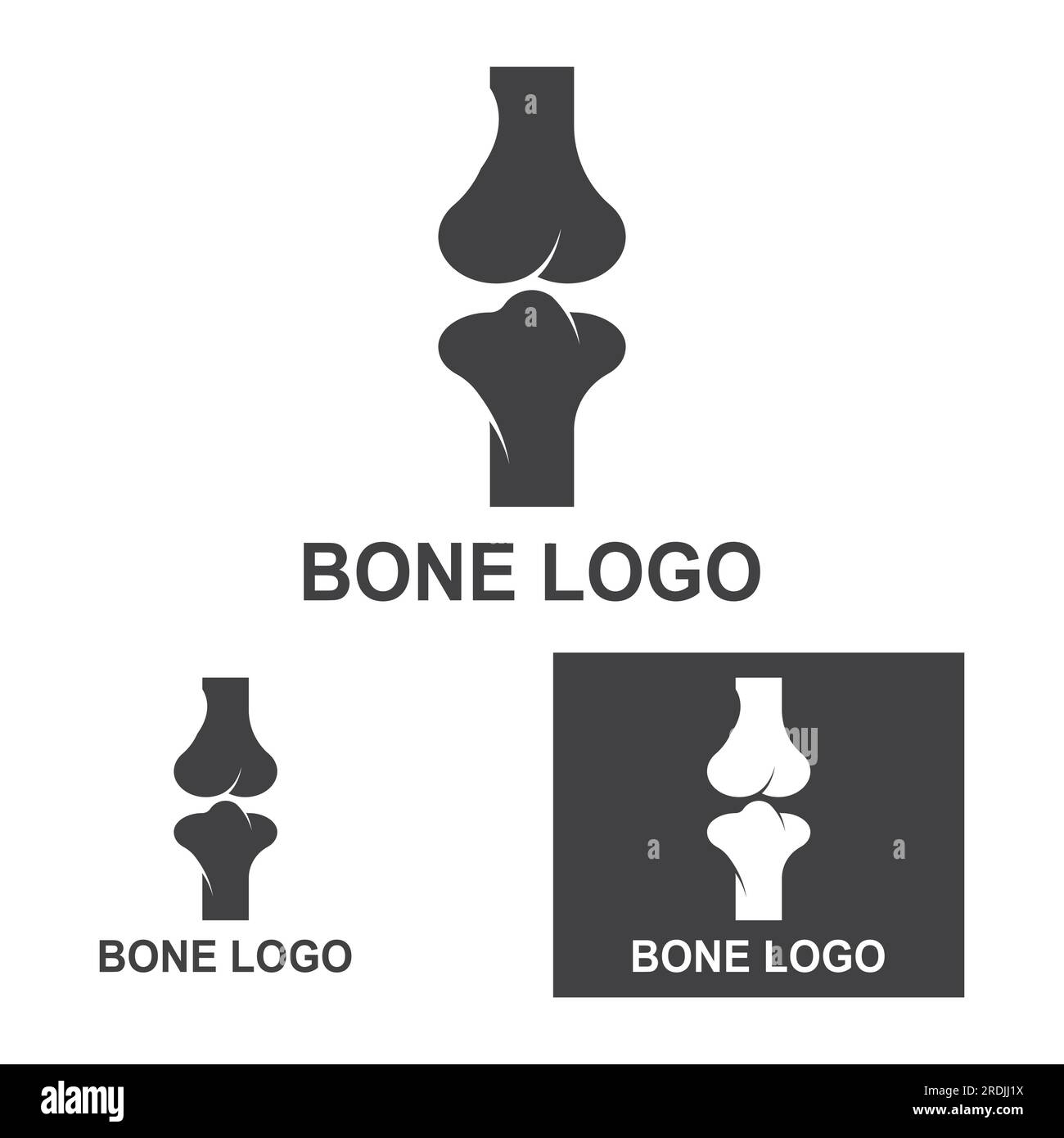 Bone logo icon vector design Stock Vector Image & Art - Alamy