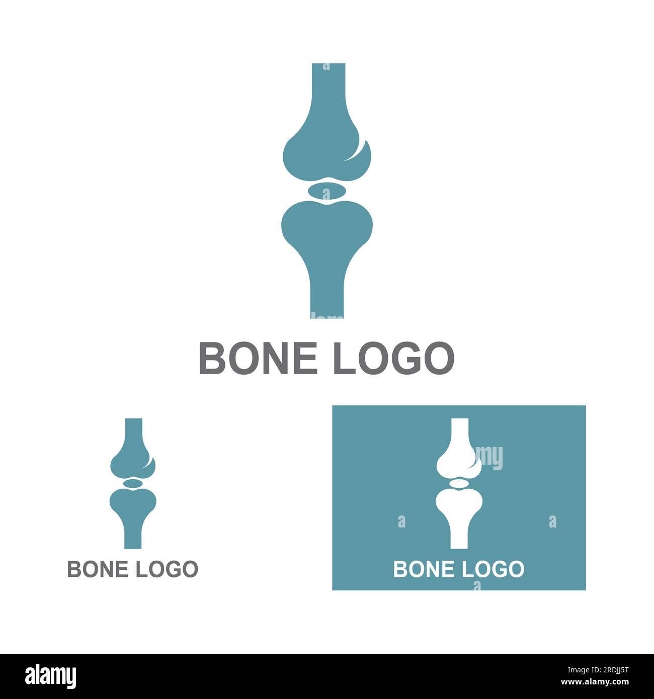 Bone logo icon vector design Stock Vector Image & Art - Alamy