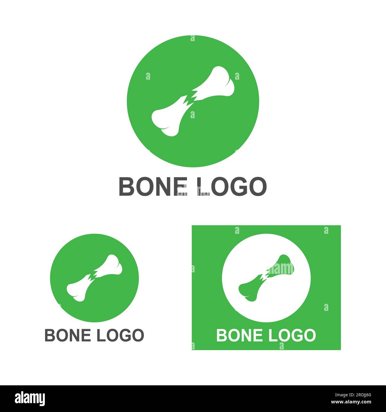 Bone logo icon vector design Stock Vector Image & Art - Alamy