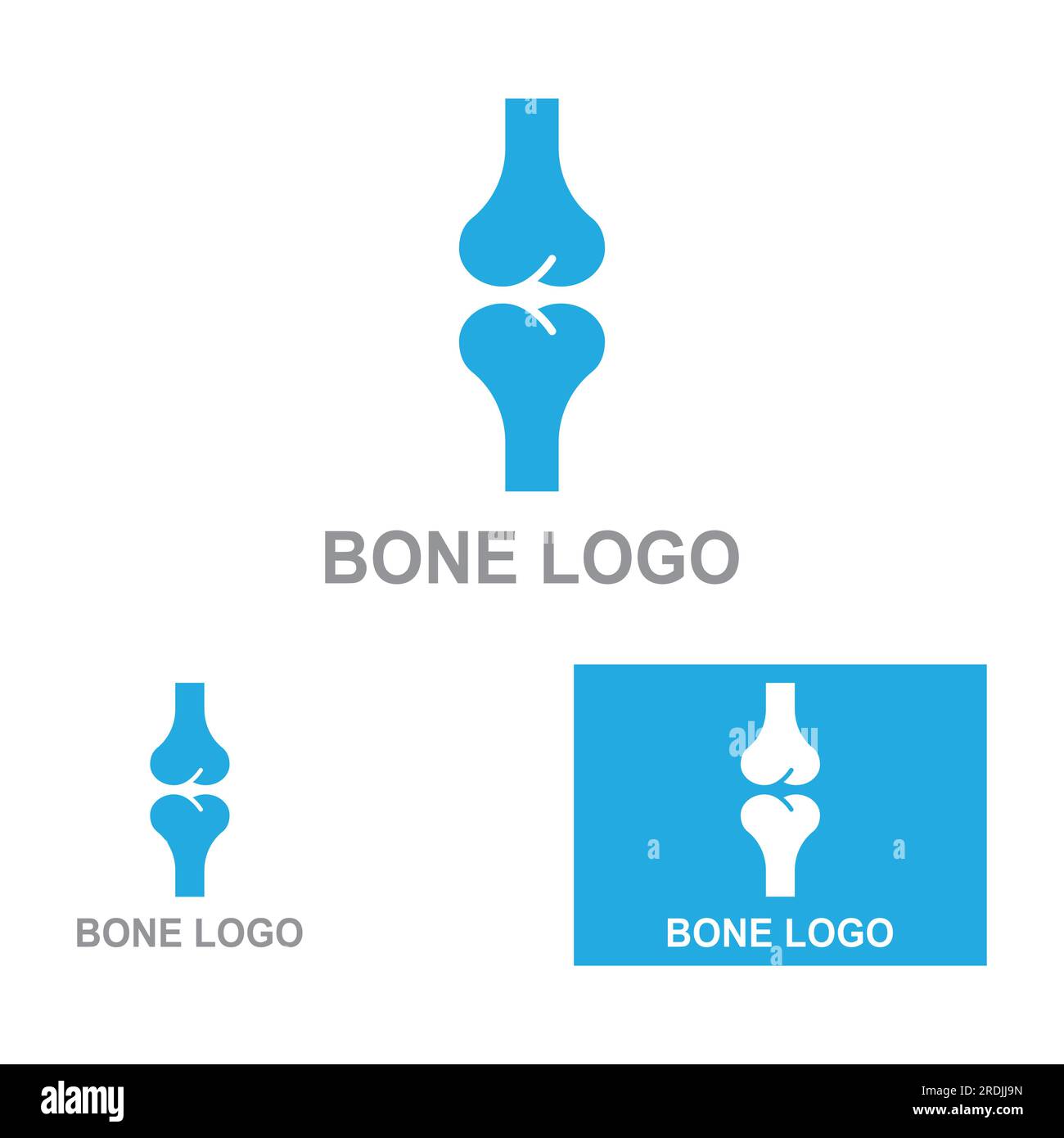 Bone logo icon vector design Stock Vector Image & Art - Alamy