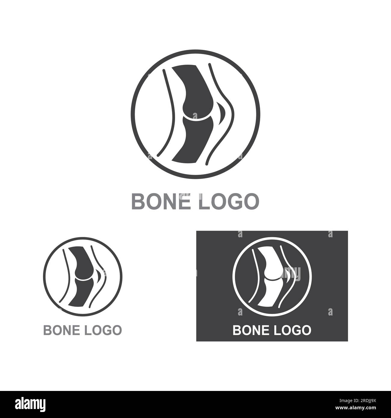 Bone logo icon vector design Stock Vector Image & Art - Alamy