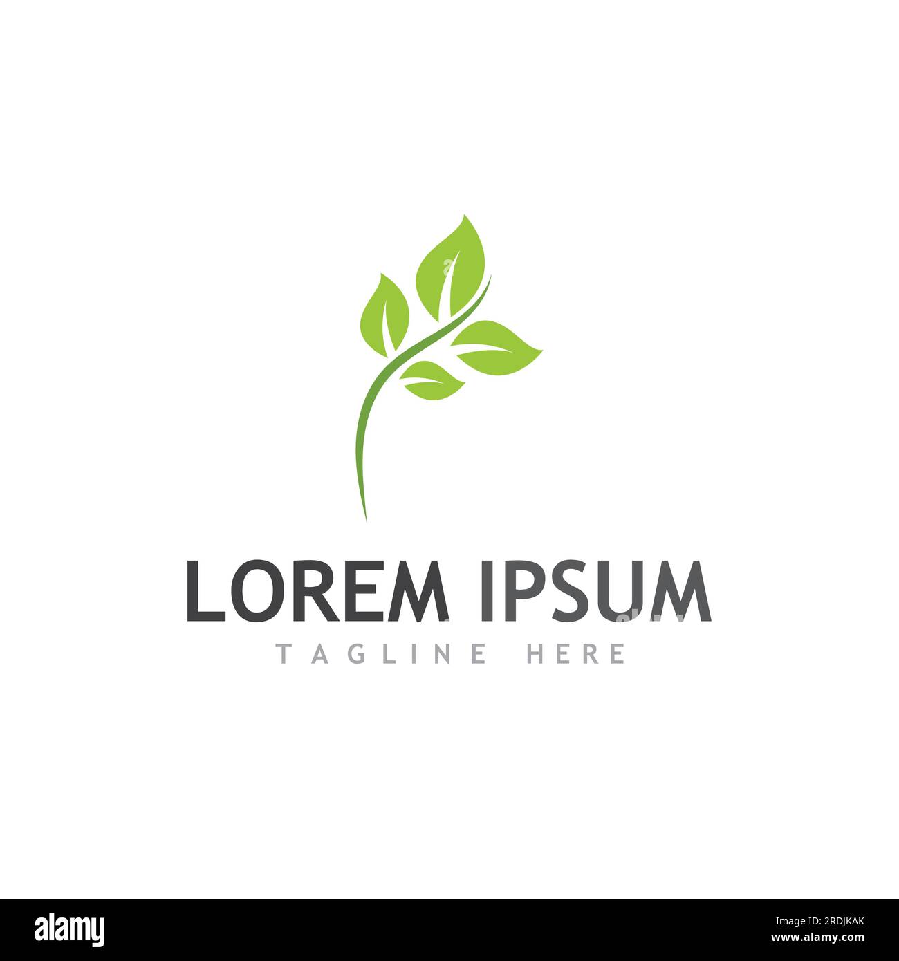 Collection monstera leaf logo Cut Out Stock Images & Pictures - Alamy