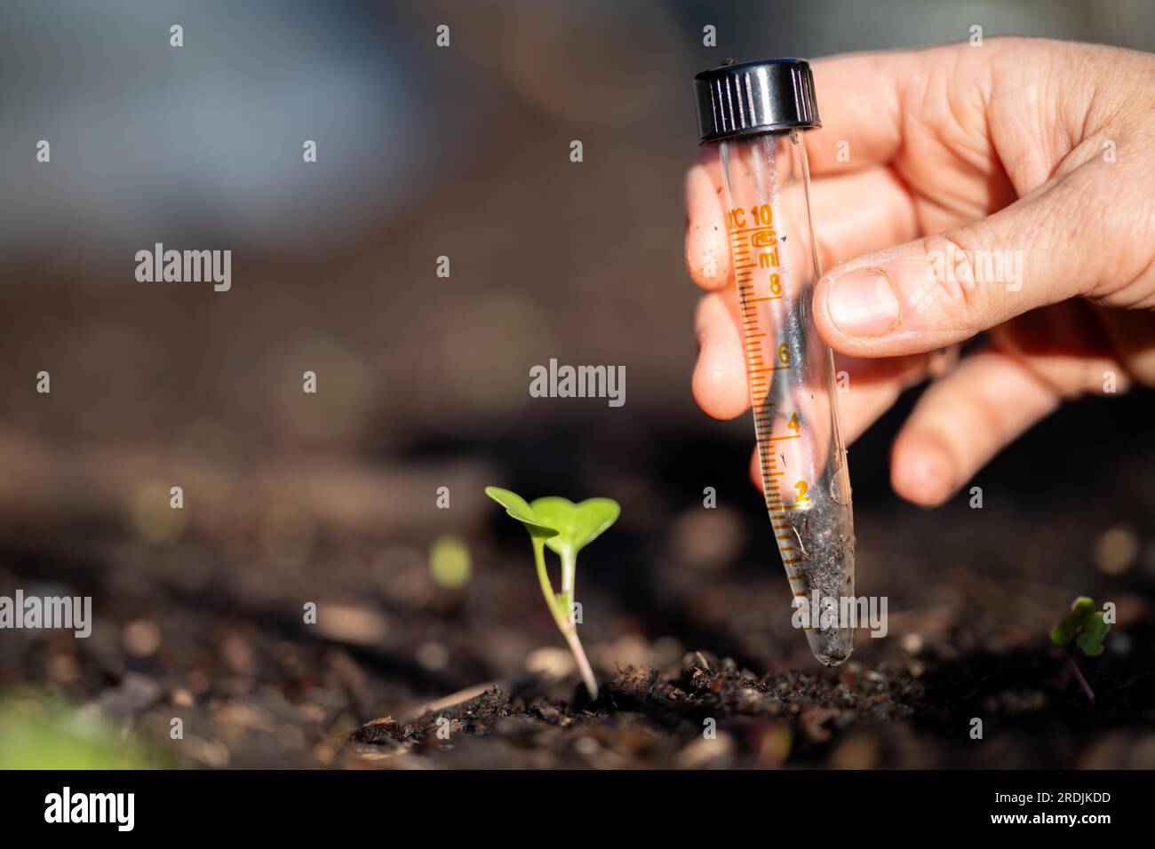 farmer collecting soil samples in a test tube in a field. Agronomist ...