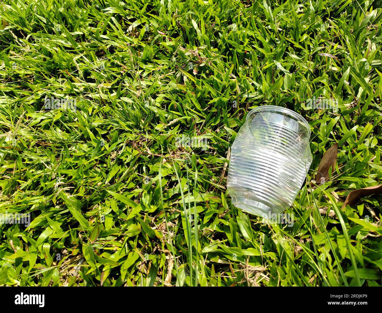 Garbage on the ground. Plastic cup trash.World ecology problem Stock ...