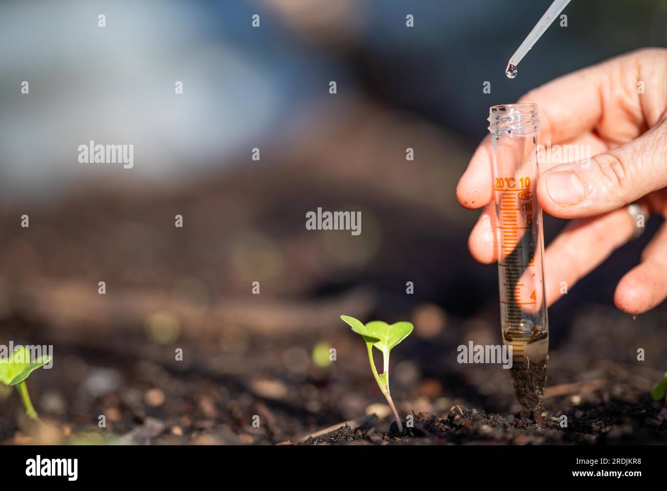 taking a soil sample for a soil test in a field. Testing carbon ...