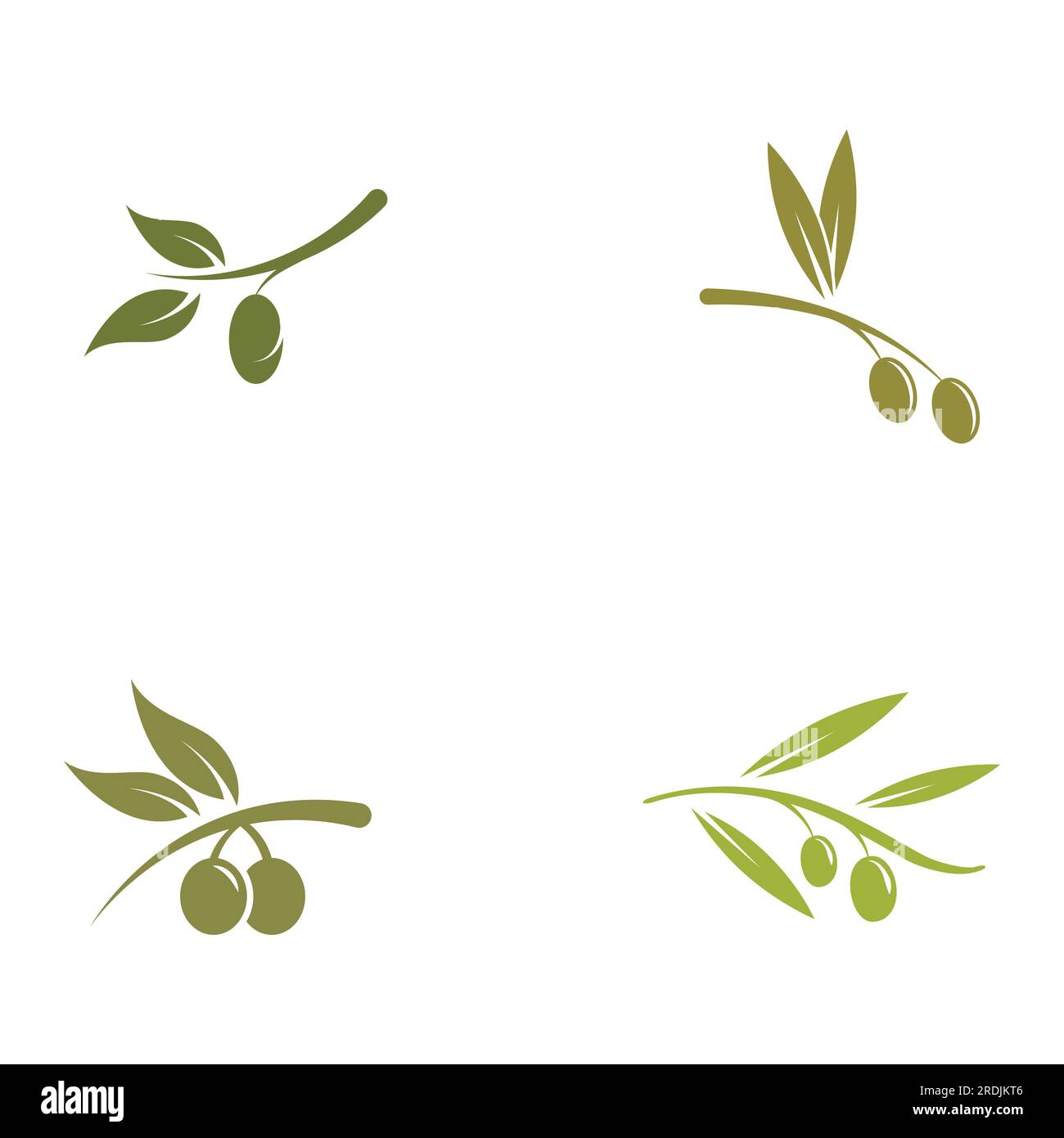 Olive vector vectors hi-res stock photography and images - Alamy