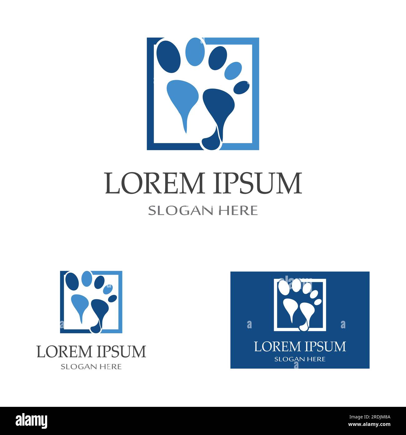 Foot logo design with a modern concept Stock Vector Image & Art - Alamy