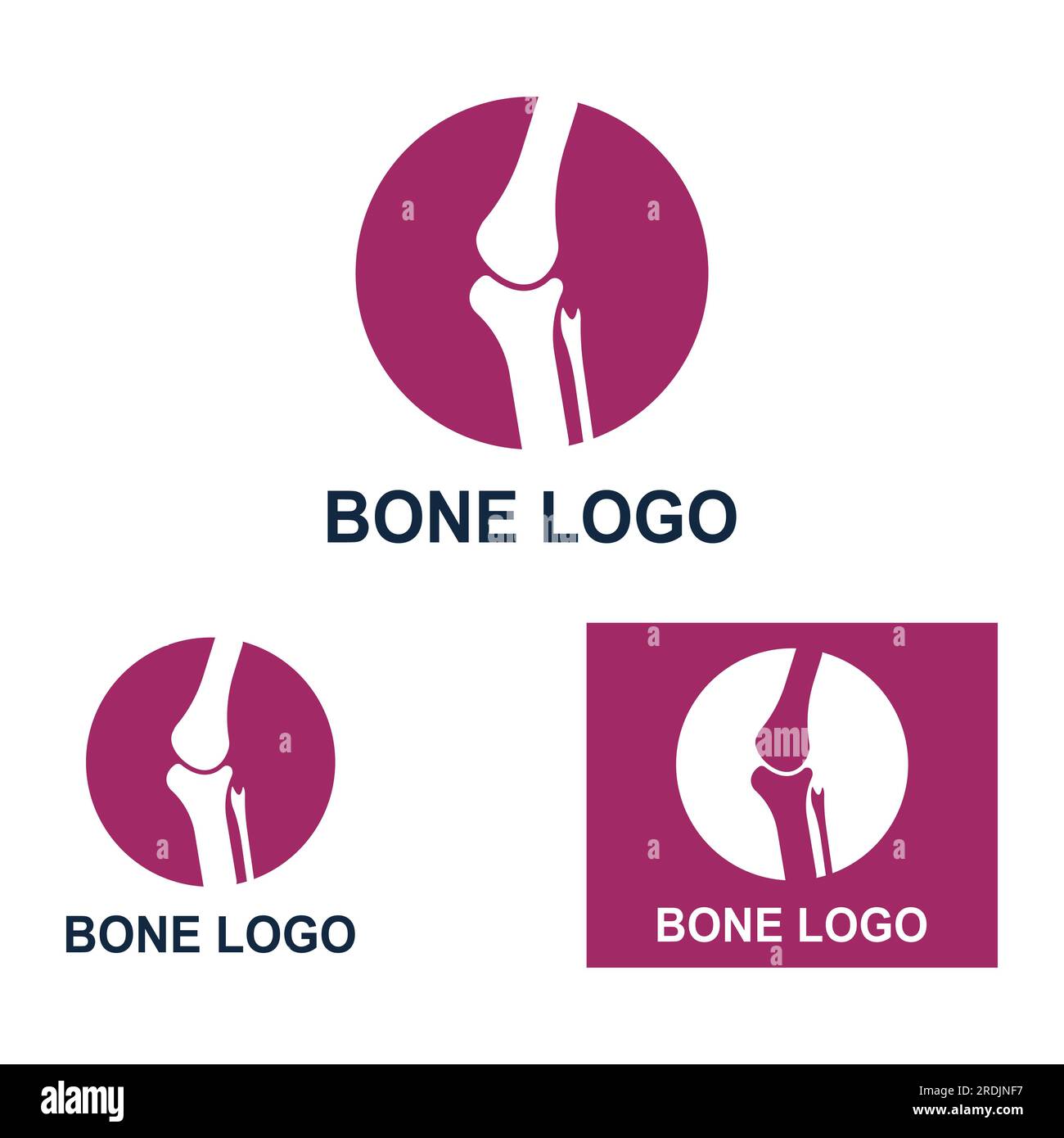 Bone logo icon vector design Stock Vector Image & Art - Alamy