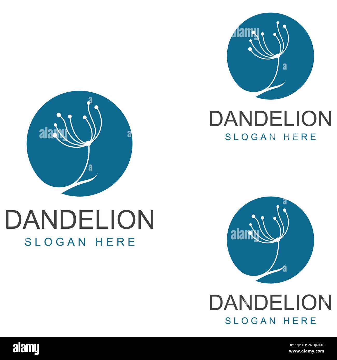Dandelion flower logo and symbol vector design Stock Vector Image & Art ...