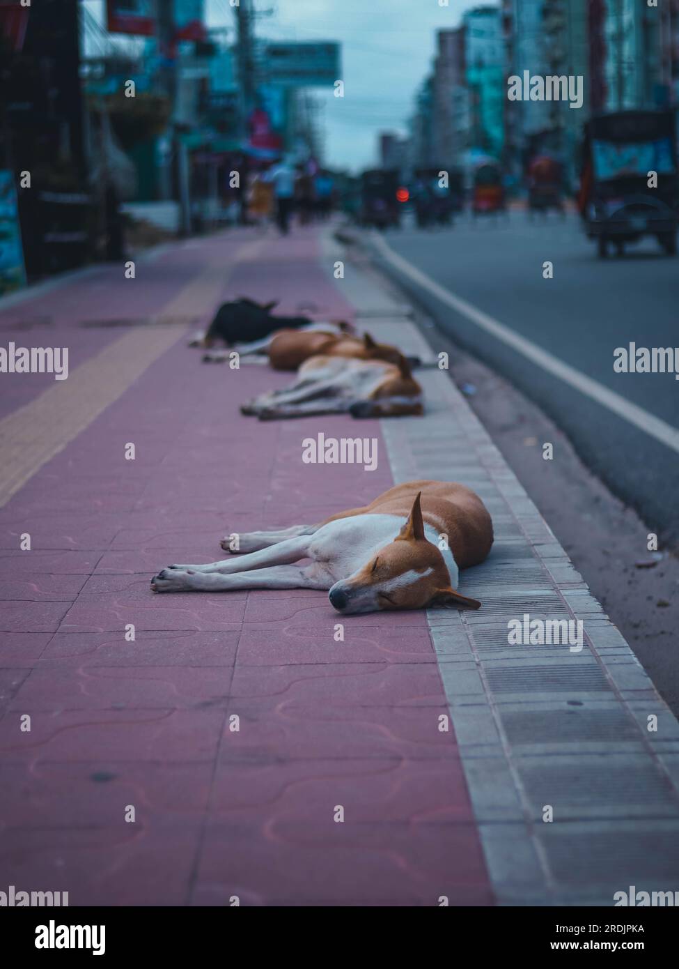 Sesame street songs hi-res stock photography and images - Alamy