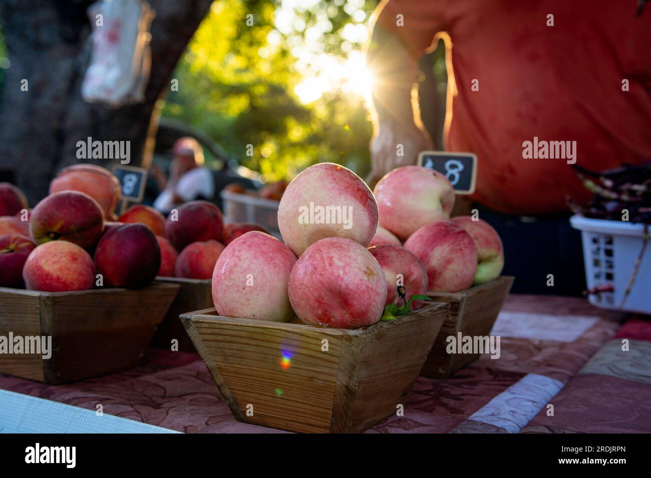 Close up of dew-covered fresh white peaches (Prunus persica) on display ...
